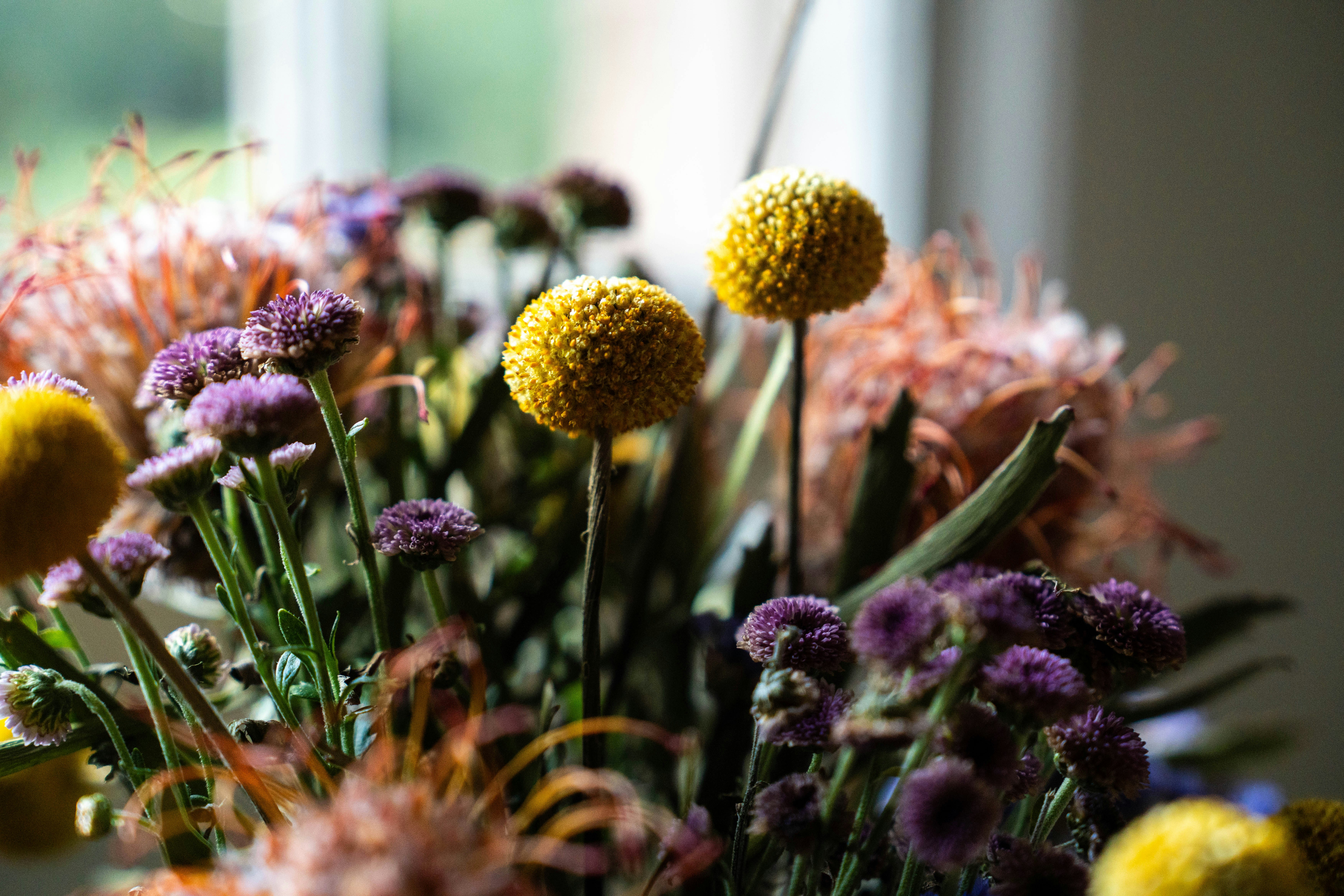 Sunlit Centerpiece: Yellow Globe Pom-Poms Among Purple-Orange Blooms