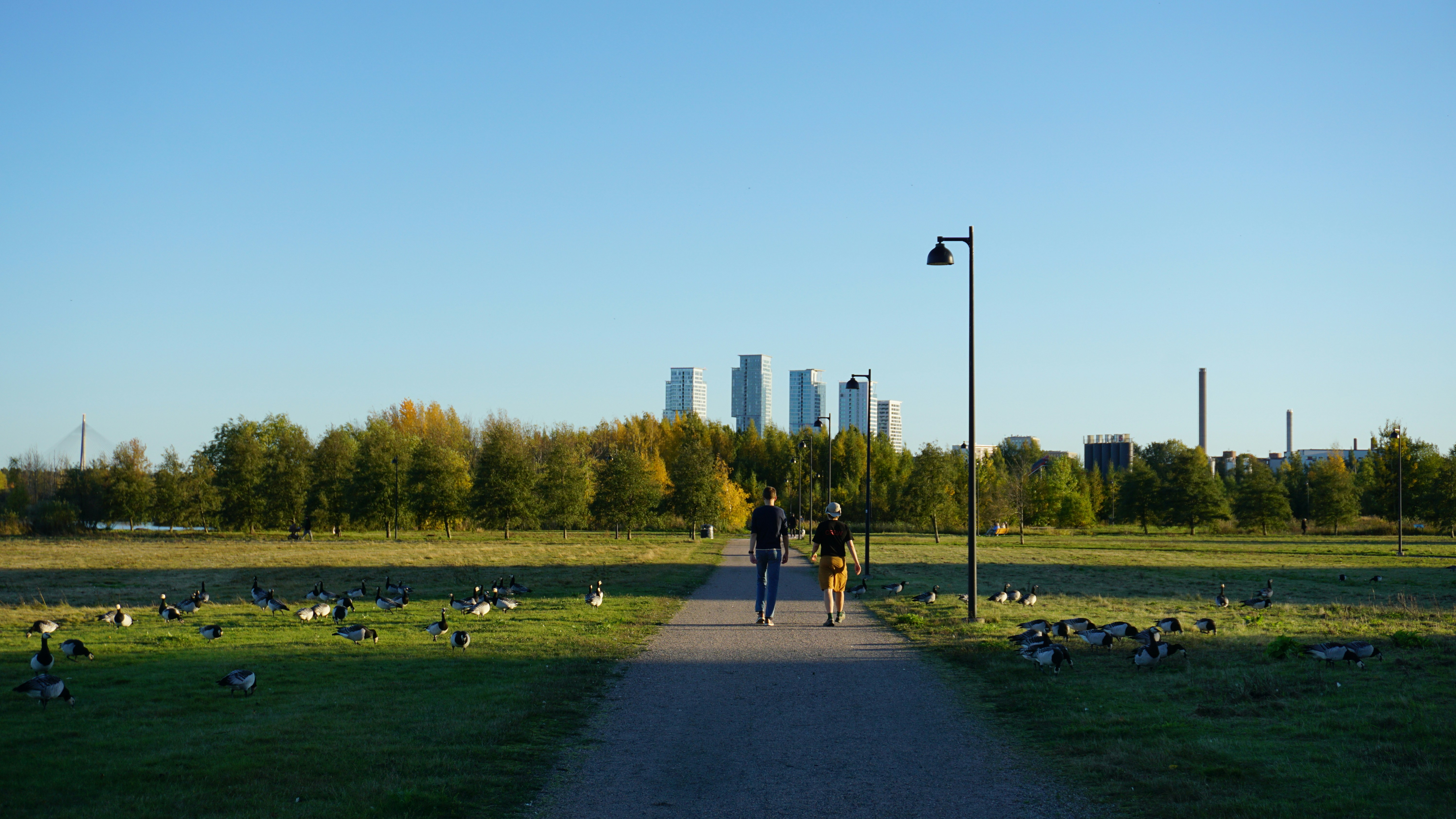 Path to the City: A Quiet Walk Through a Riverside Park