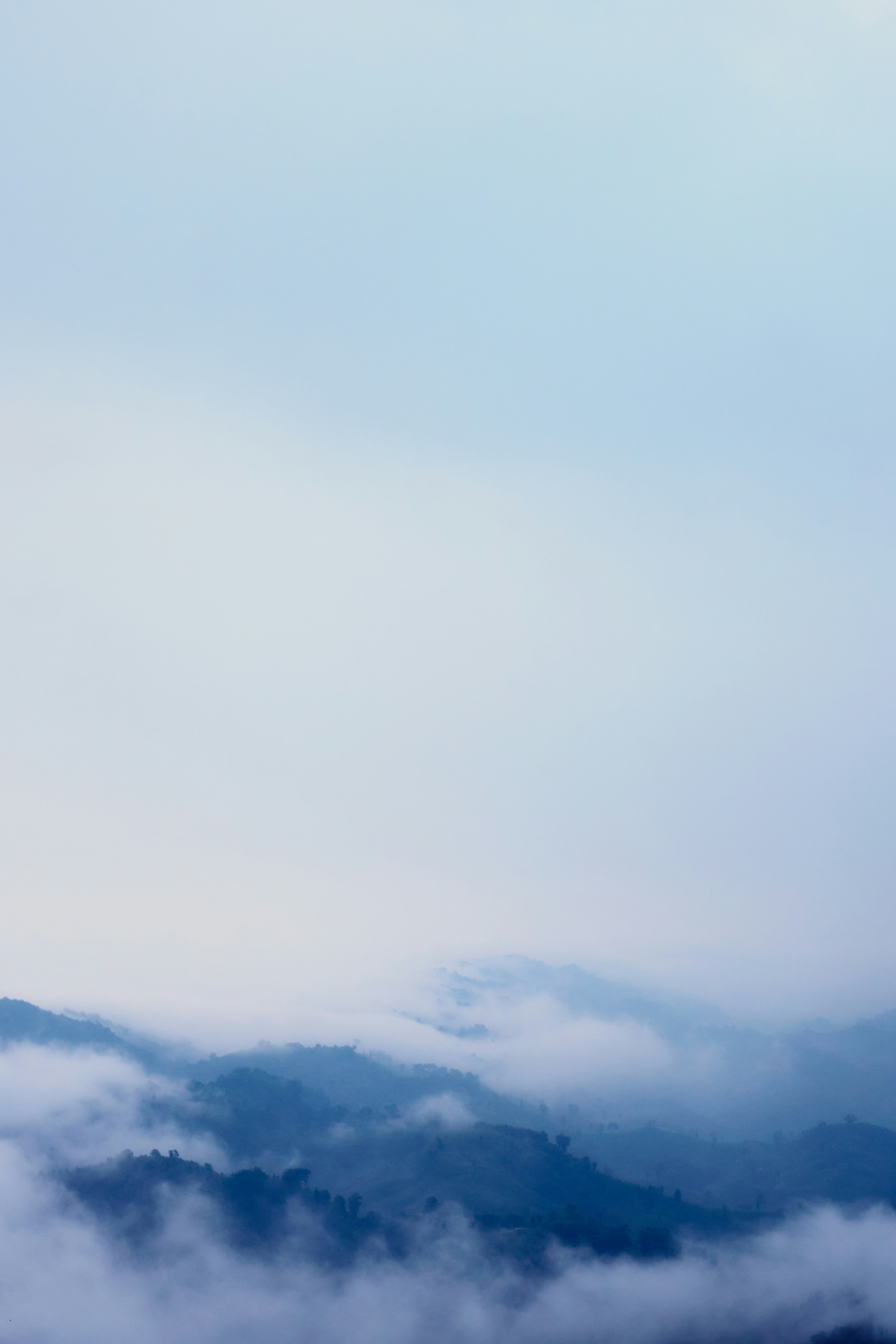 Low-Cloud Summit: A Serene Ridge Shrouded in Morning Mist