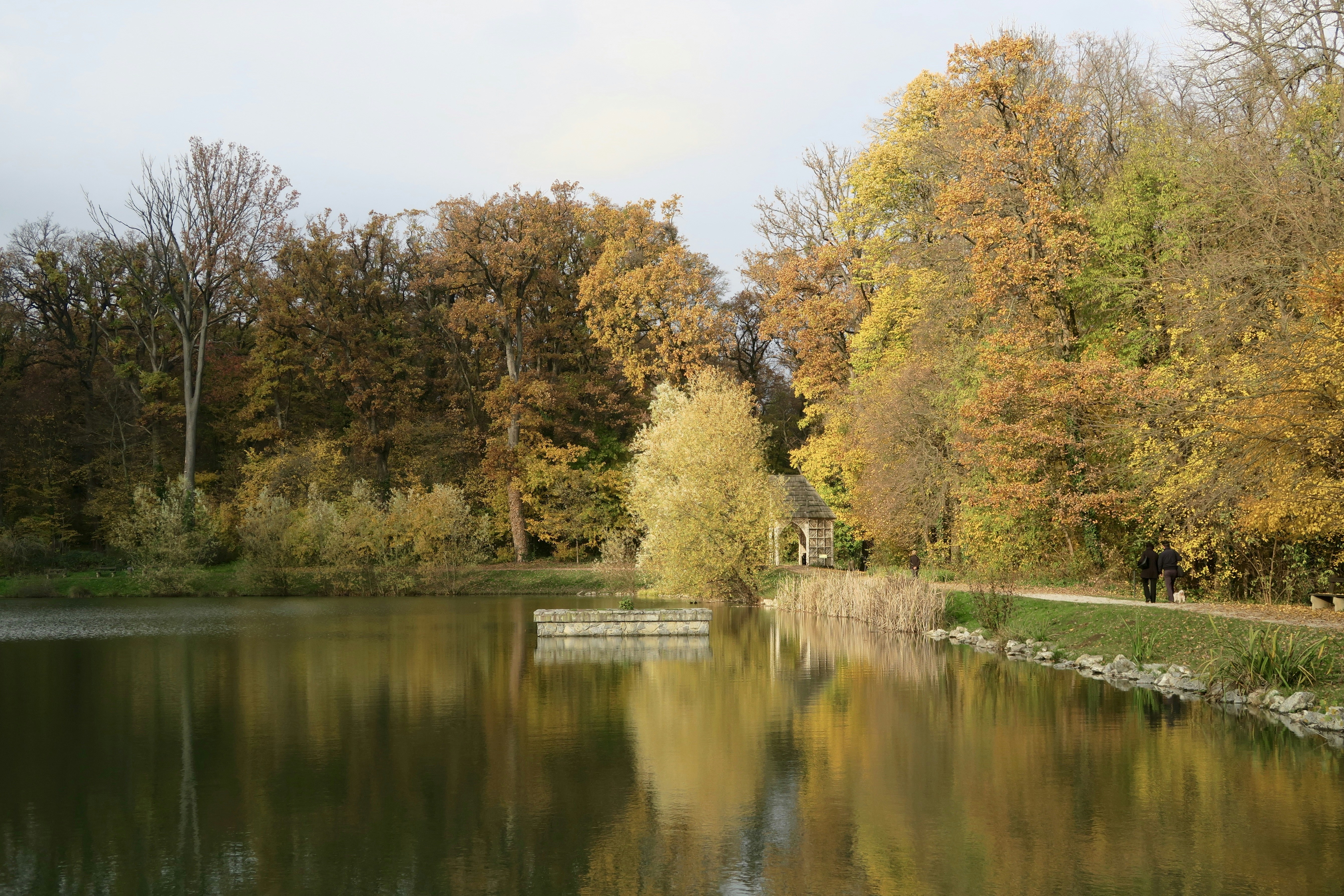 Autumn Serene: Reflections Along the Park Lake