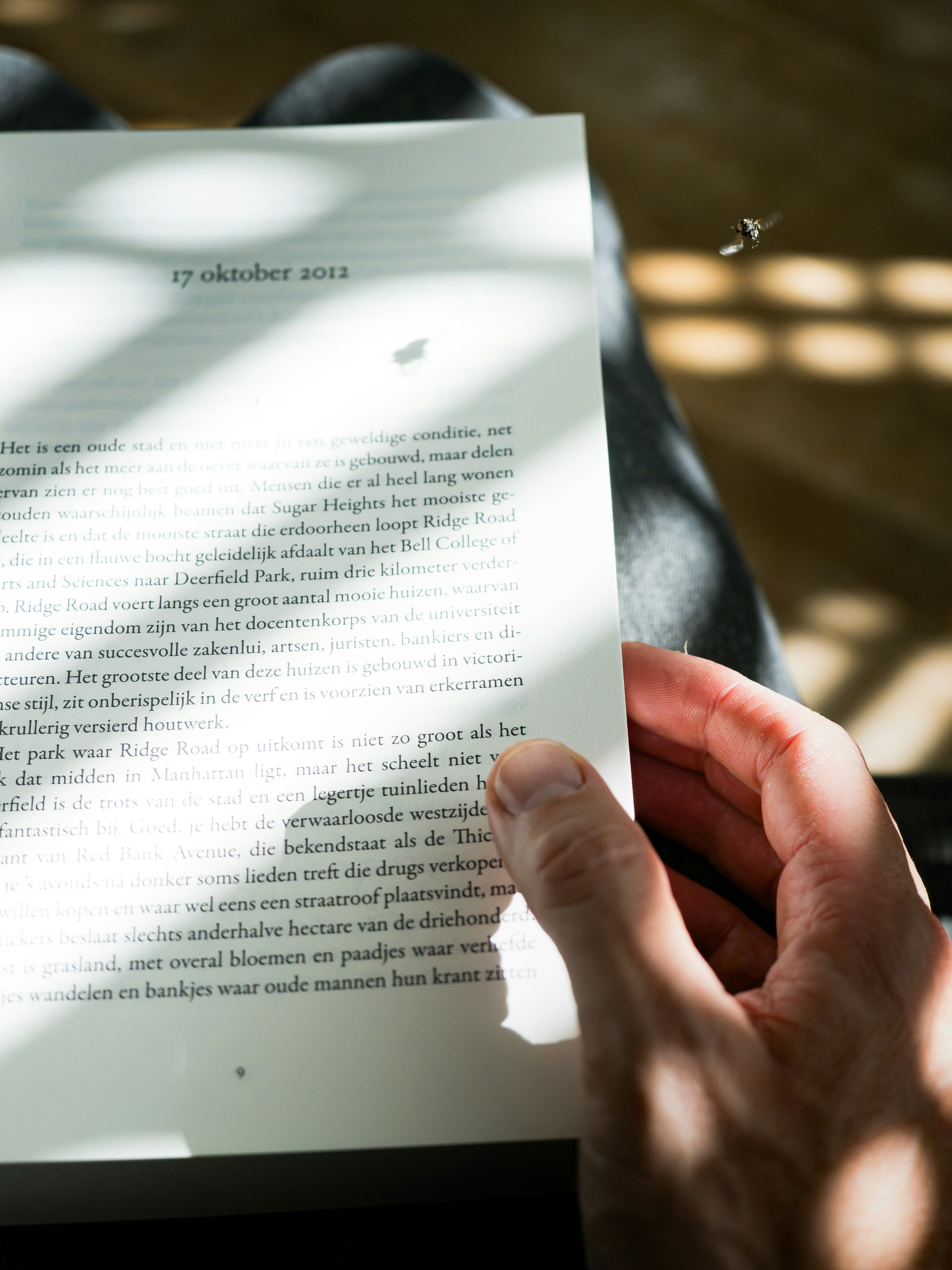 A Quiet Read: Page Between Shaded Lines