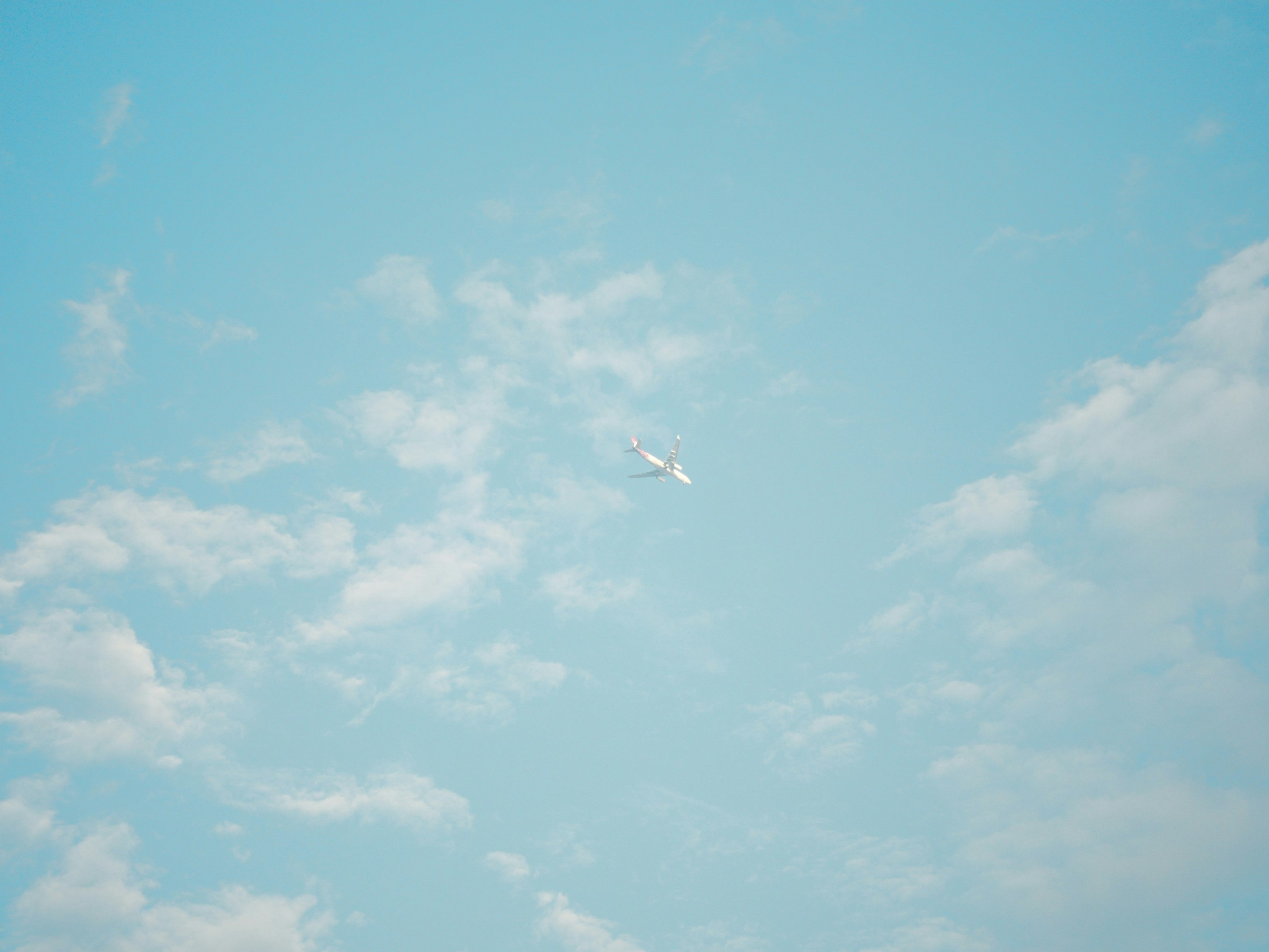 Airliner in a Quiet Sky: Subtle Contrast of White against Blue Expanse