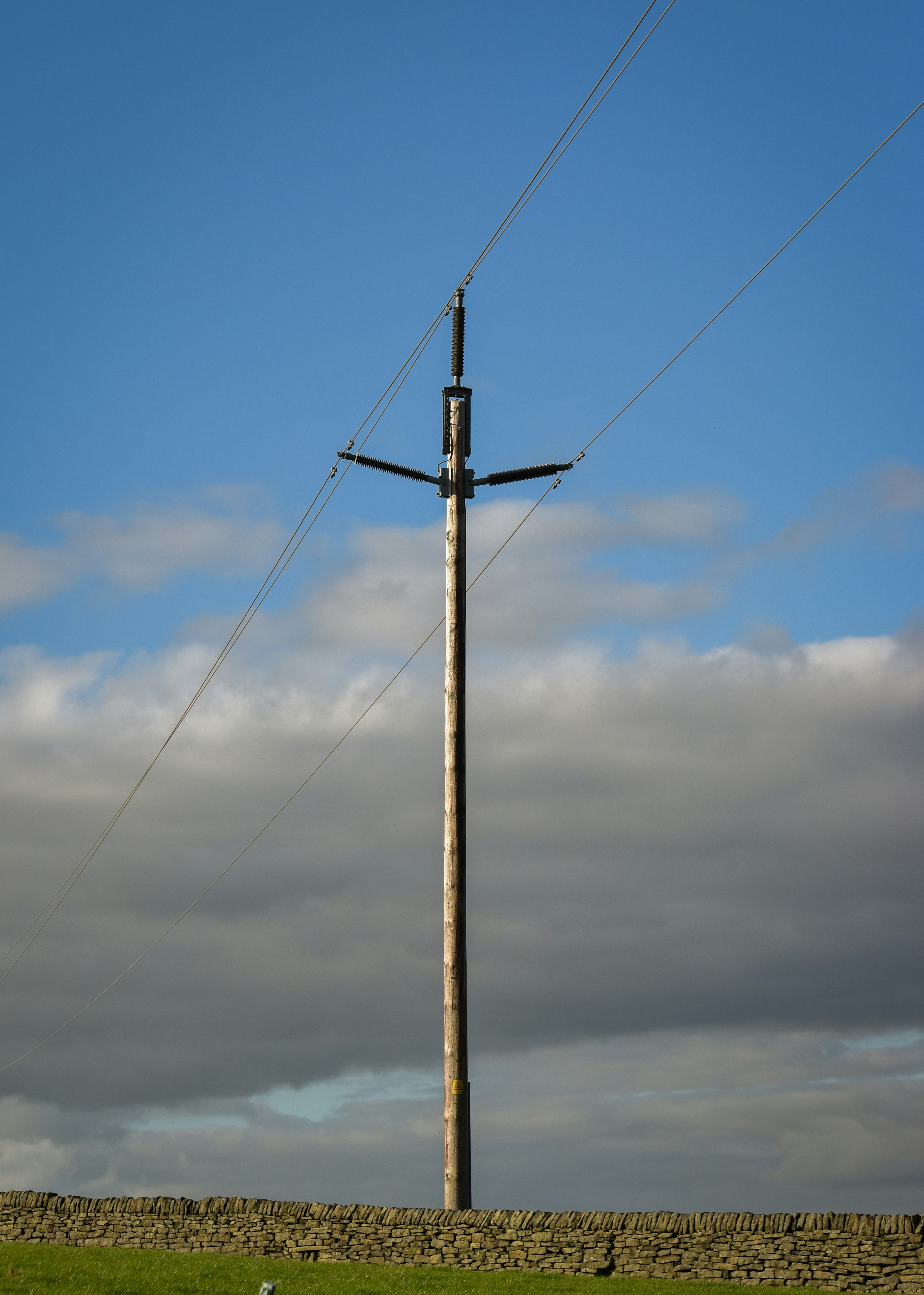 Powerline Sentinel Under a Clear Blue Sky