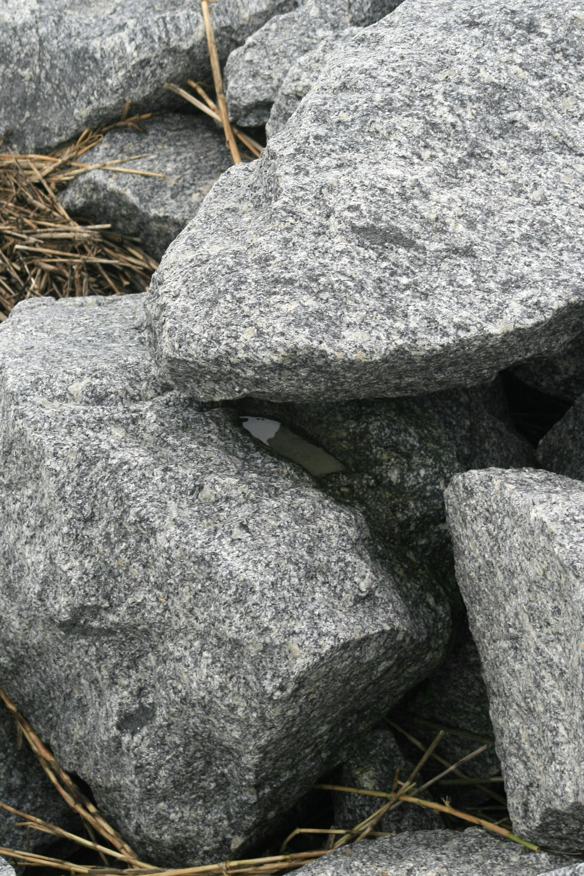 Rugged granite rocks with a small dark crevice and a hint of water, framed by dried grass; a close-up of a stony shoreline scene.