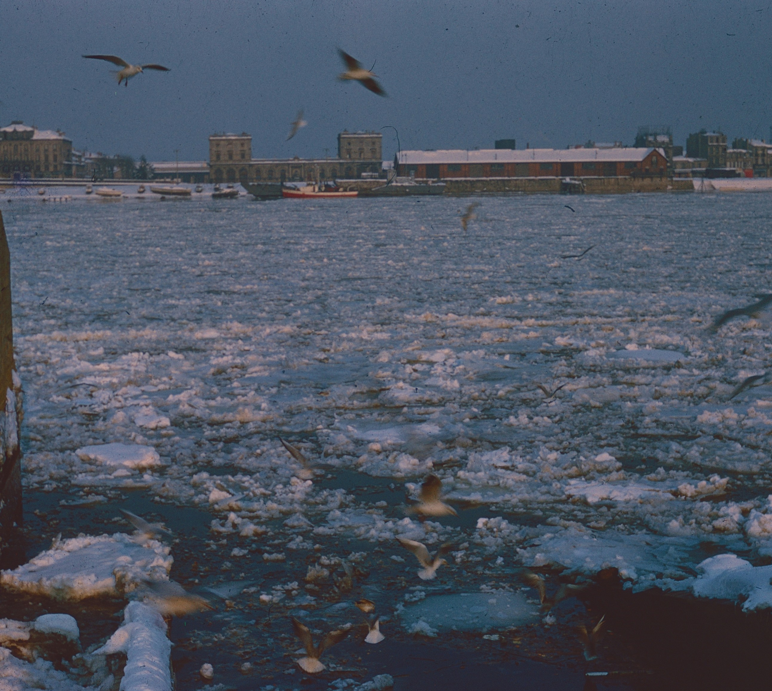 Icebound harbor under a quiet leaden sky