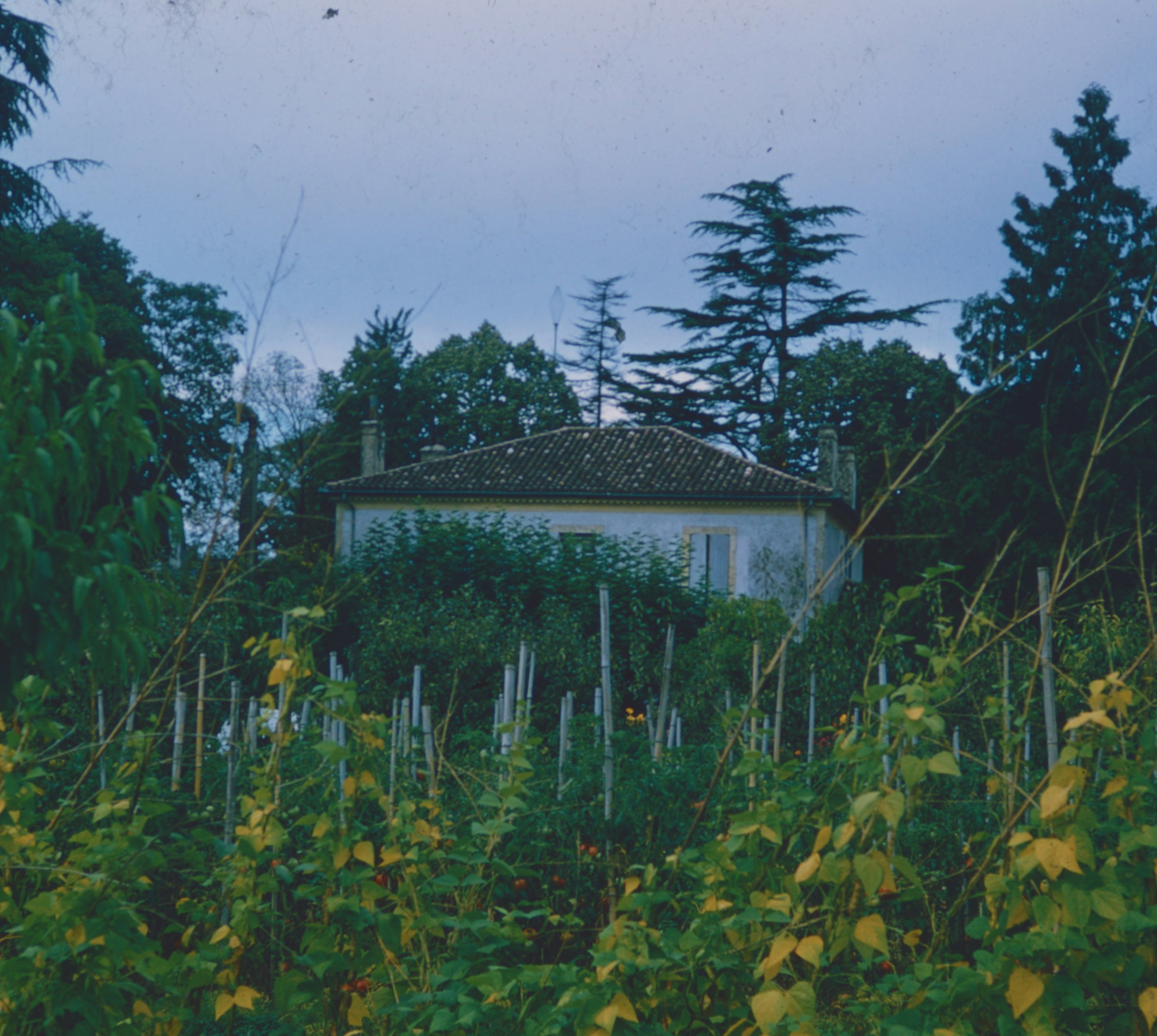 Quiet Orchard Manor Under a Bluish Dusk
