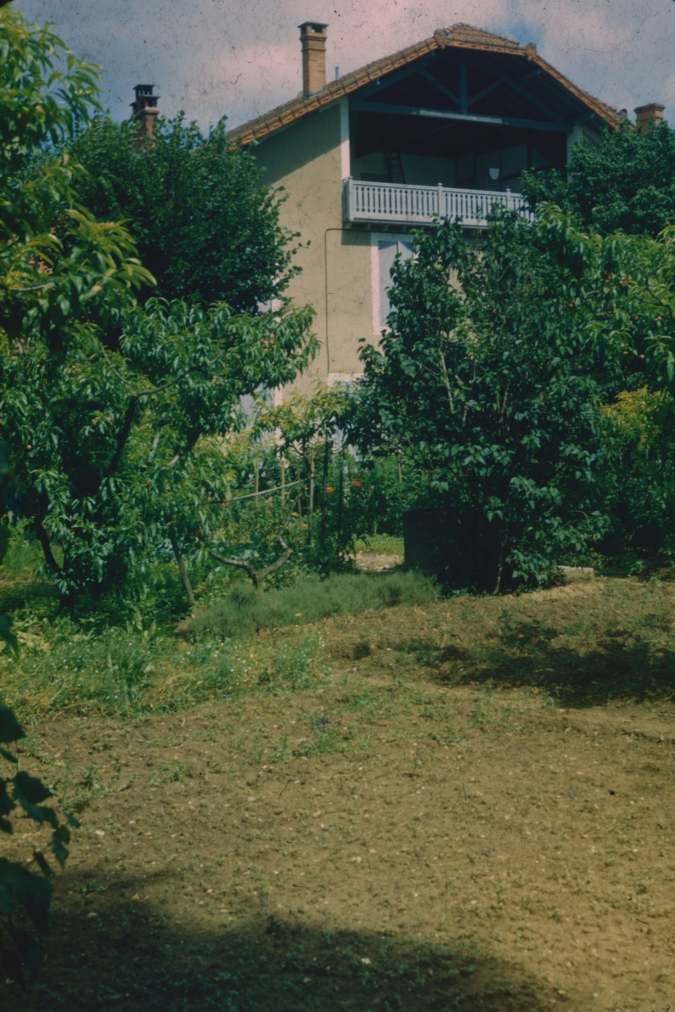 Sunlit House Nestled Behind Fruitful Foliage