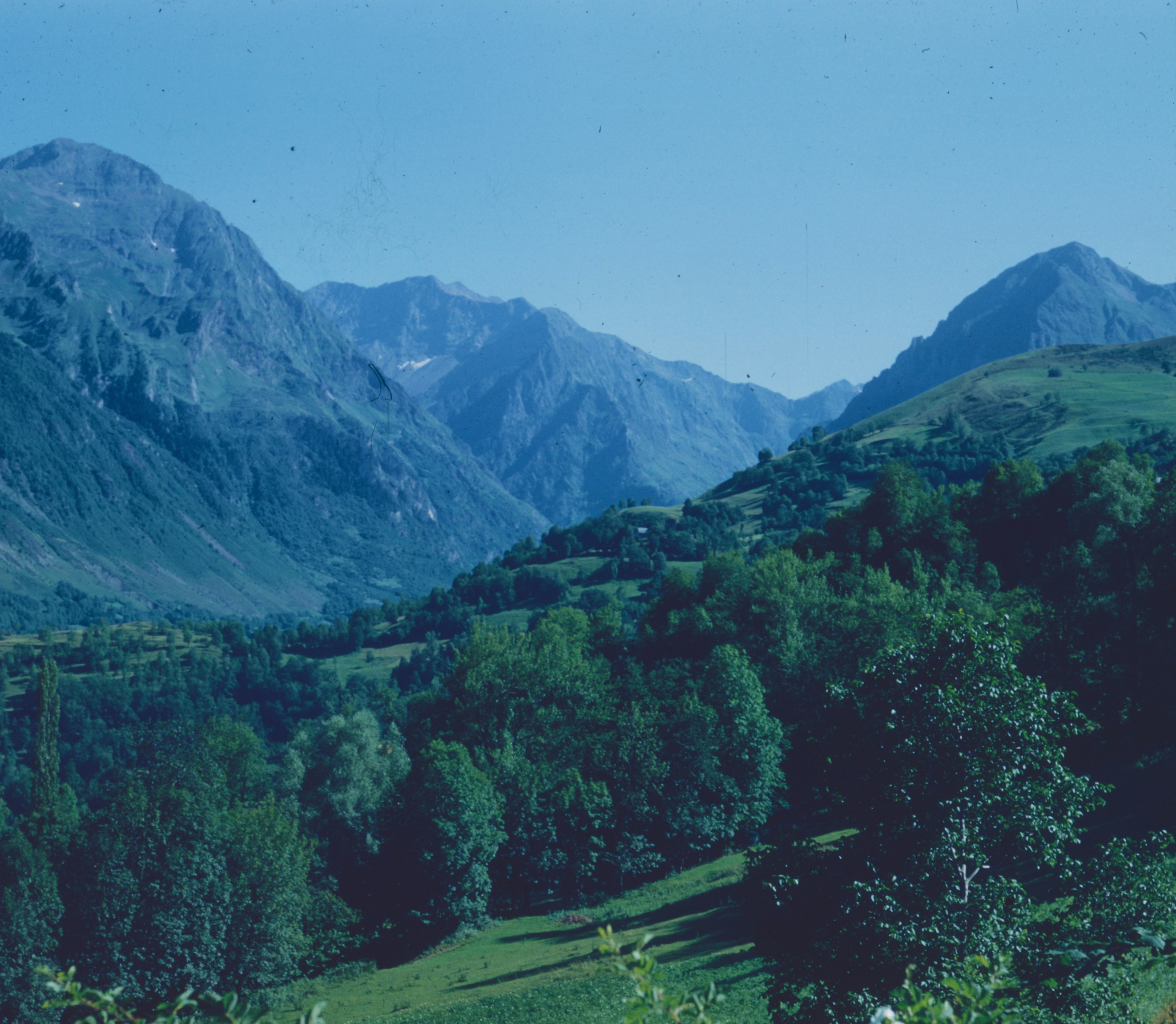 Valley Echoes: A Mountain Dawn Over Verdant Slopes