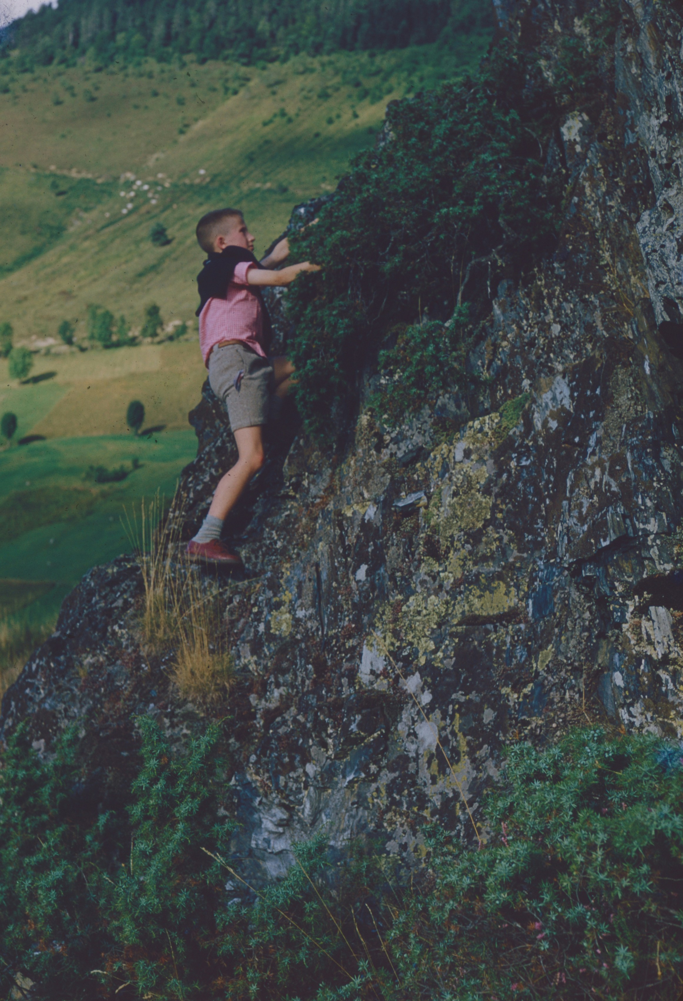 Climber on the Vertical Rock: A Child’s Struggle Up a Ledge