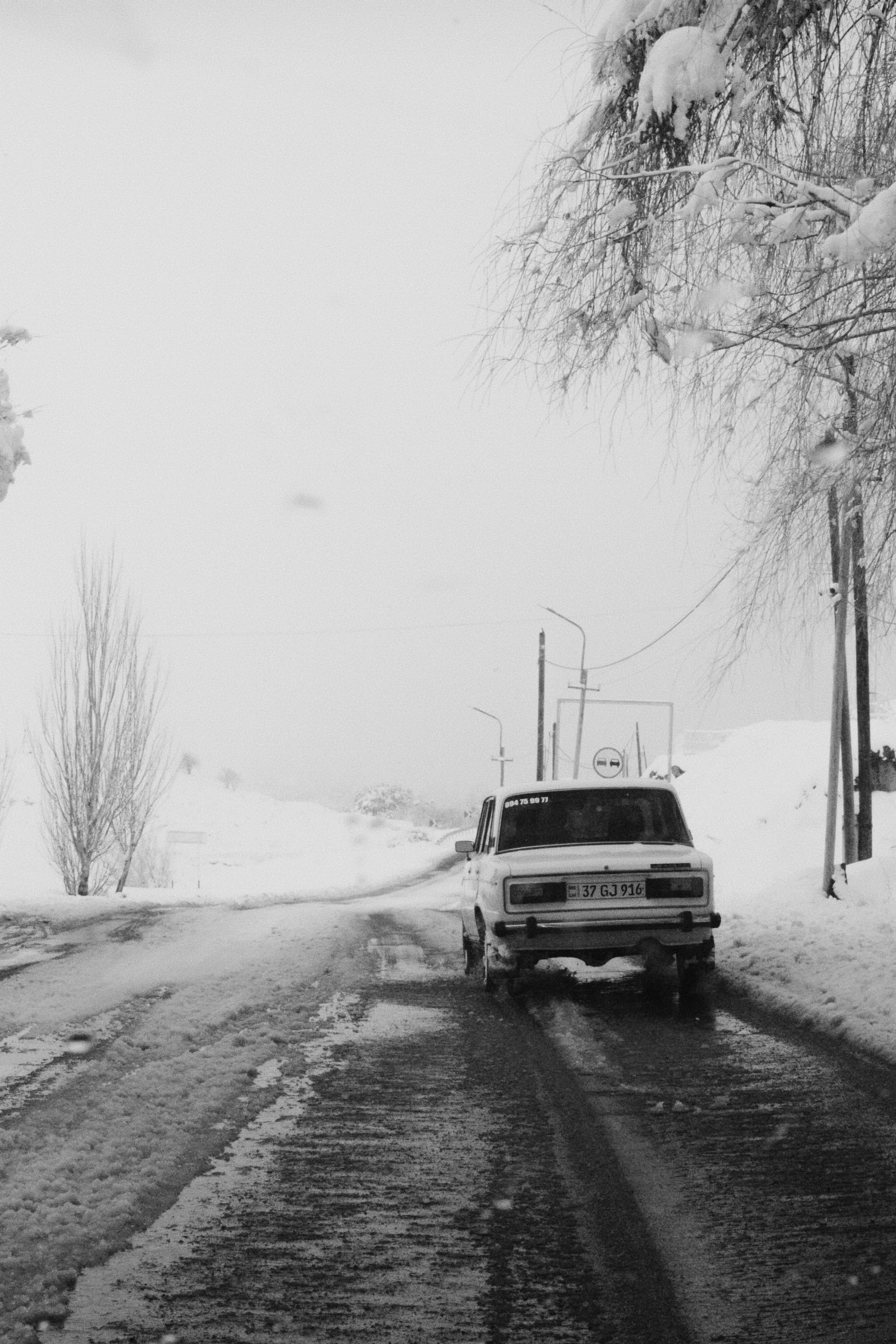 Snowbound Roadside Sentinel