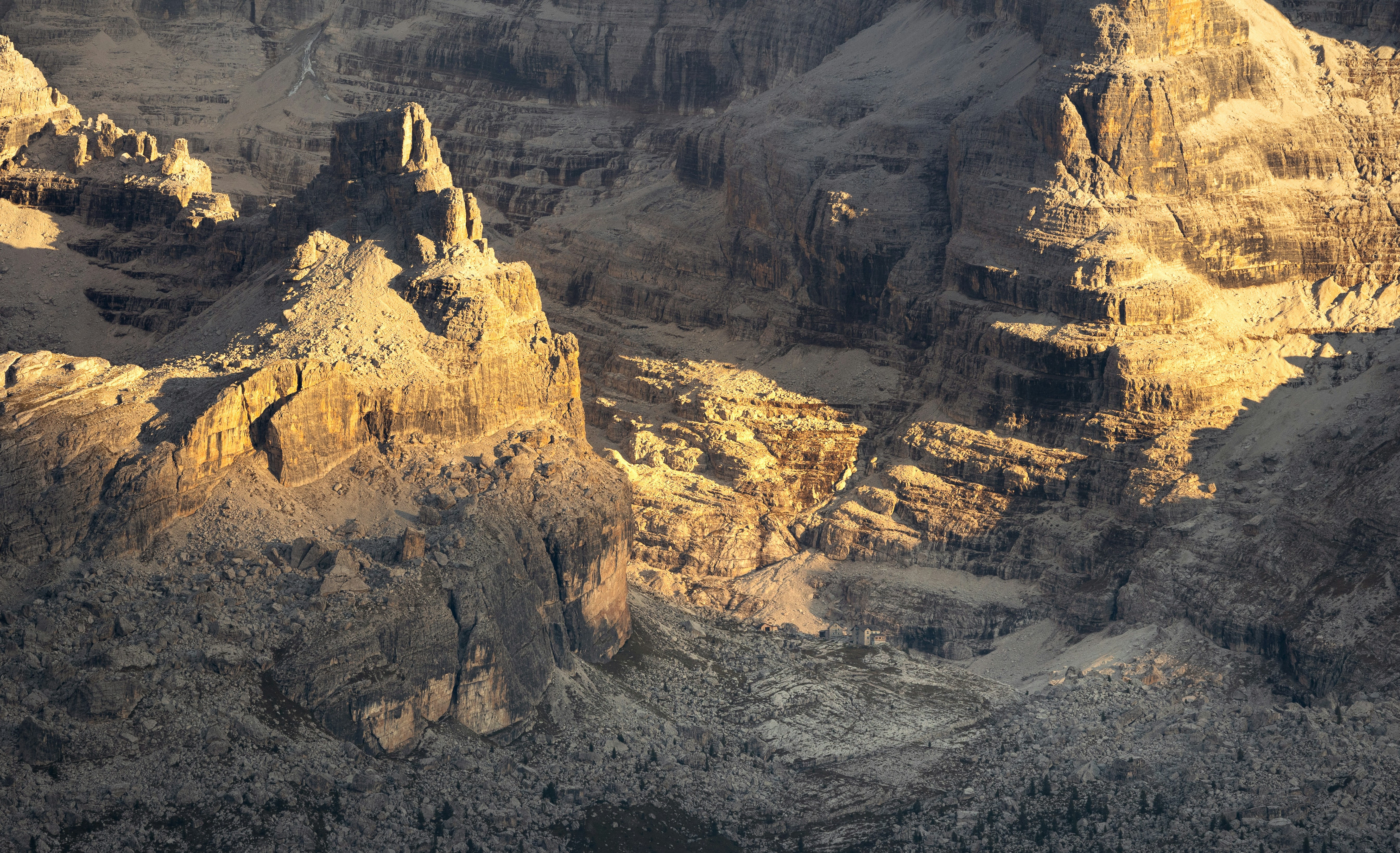 Golden Echoes on the Canyon Ridge
