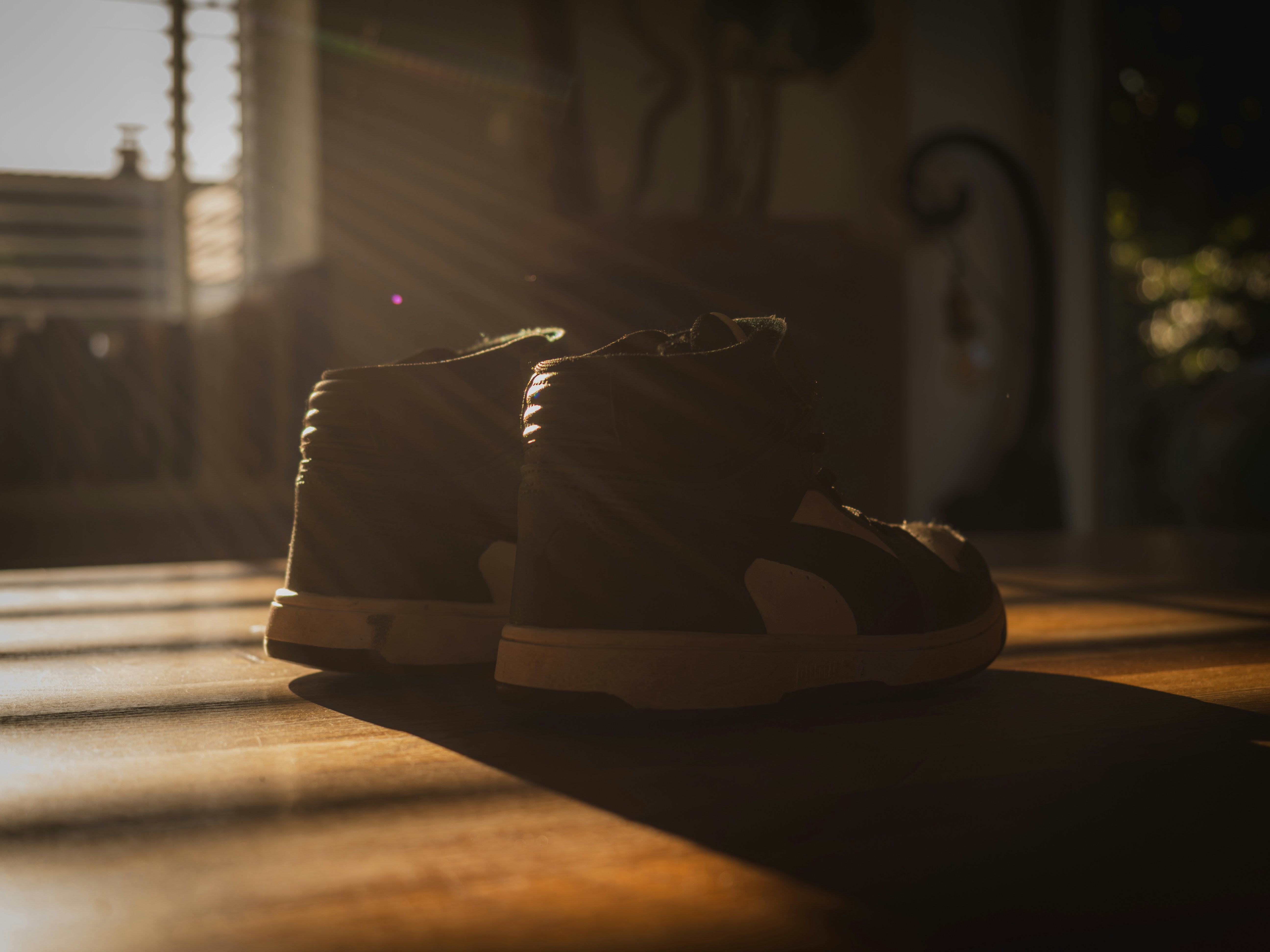 Backlit Sneakers in Quiet Sunset Studio