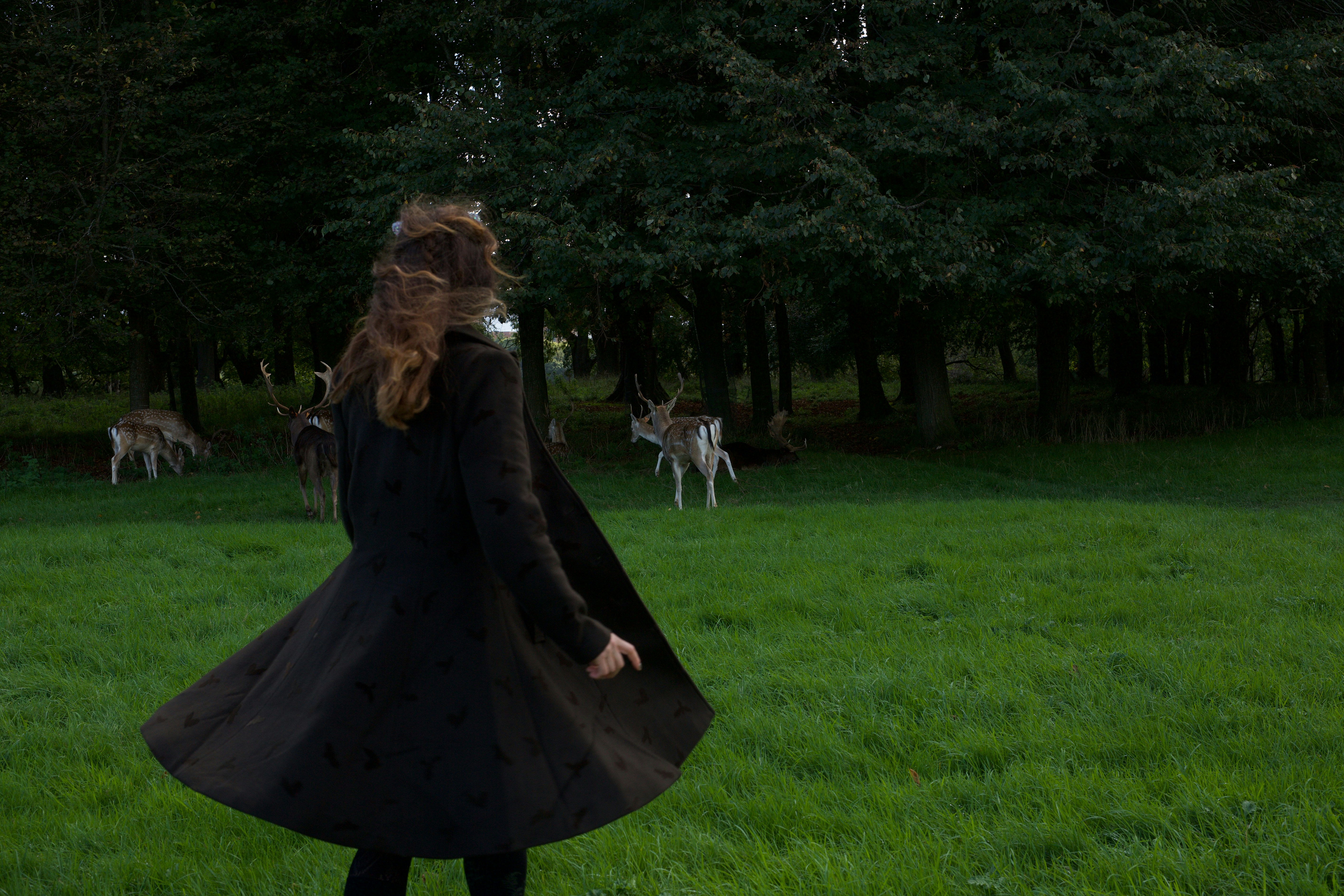 Windswept silhouette: a woman in a dark coat spins as deer drift across a sunlit meadow