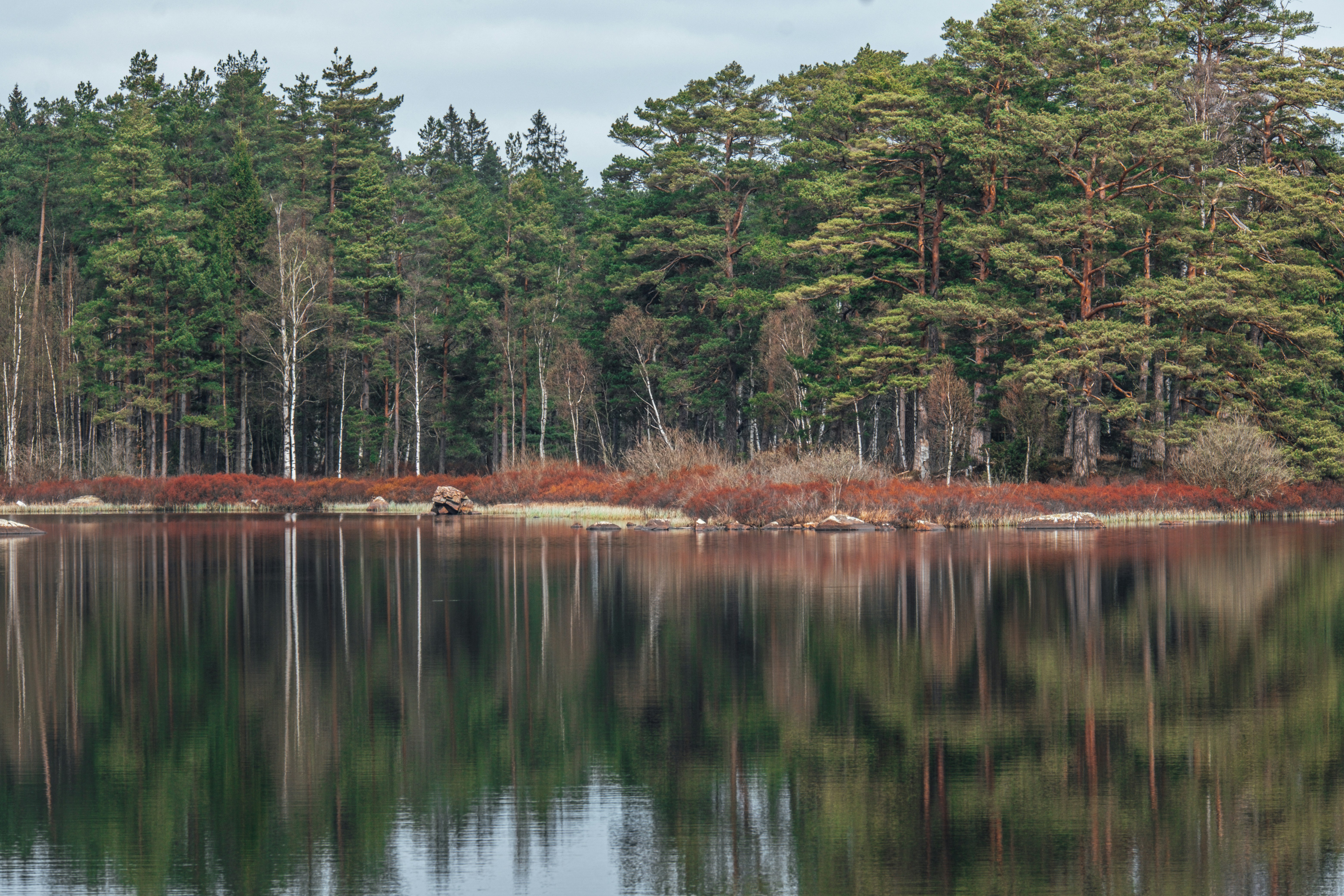 Photo by Line Kjær with Fujifilm X-T30