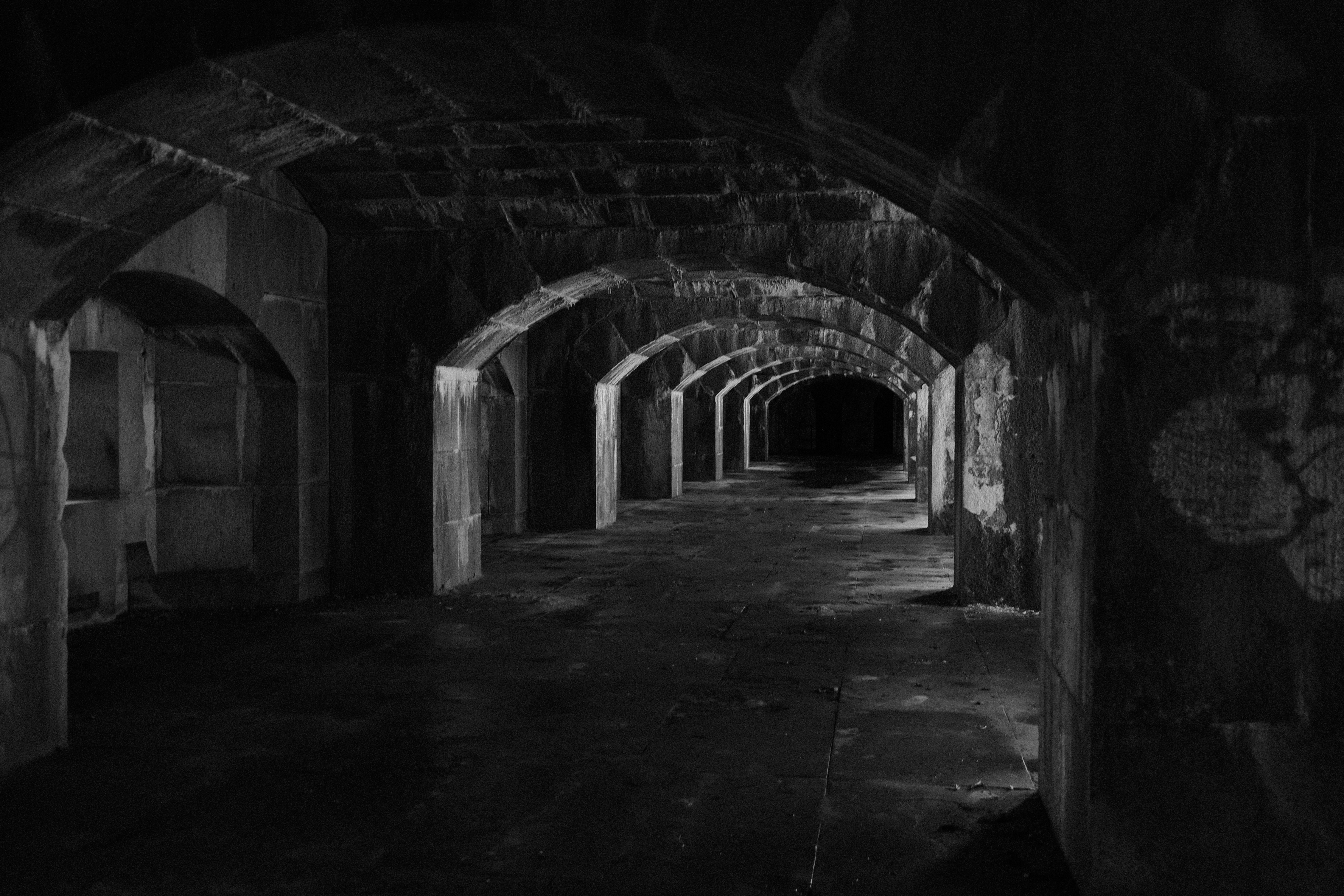 Echoes in the Arcades: A Monochrome Descent into the Abandoned Vaults