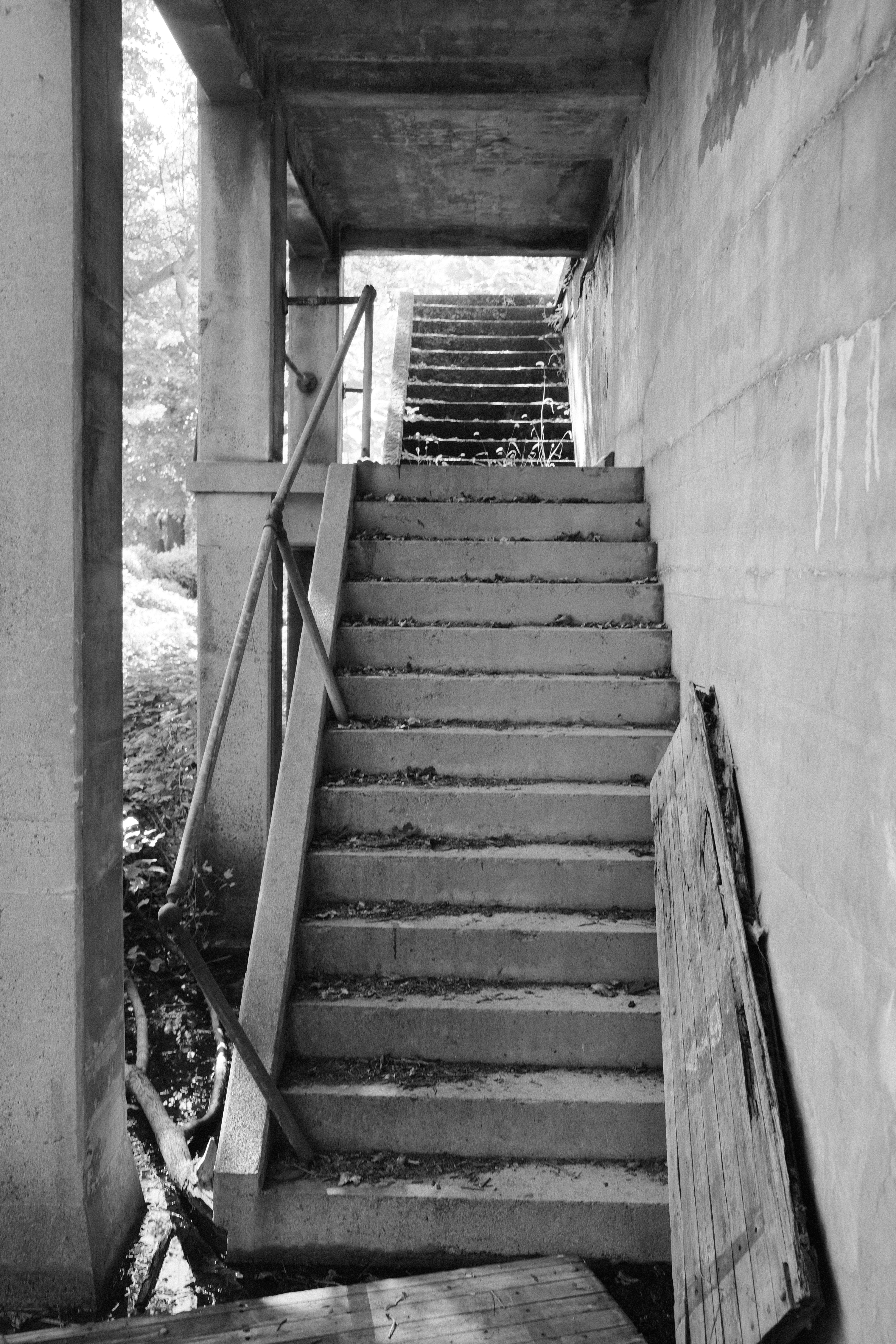 A Concrete Ascent: Stairwell to the Hidden Light