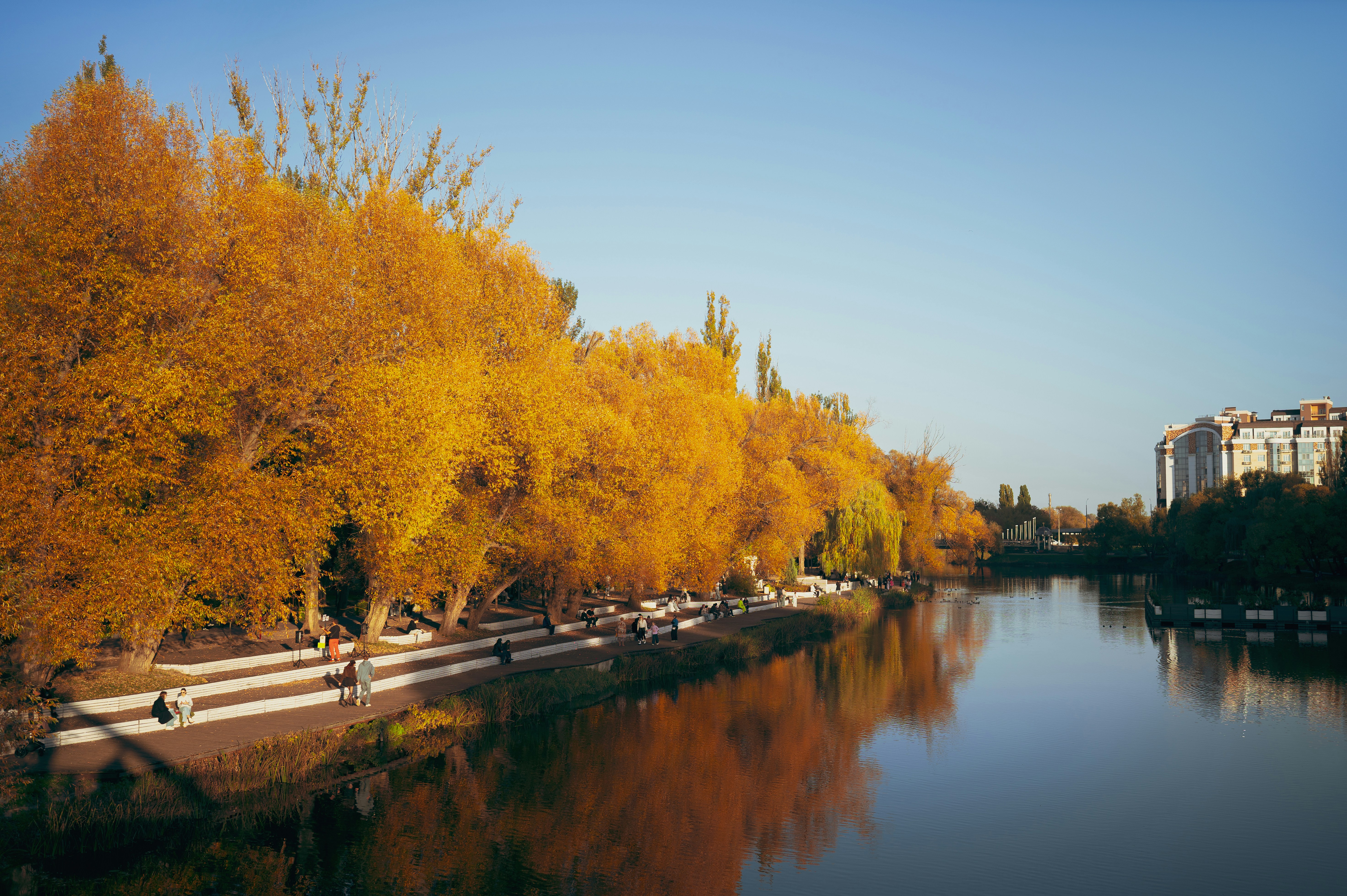 Golden Riverfront: A Quiet Autumnal Boulevard Reflects in Still Water