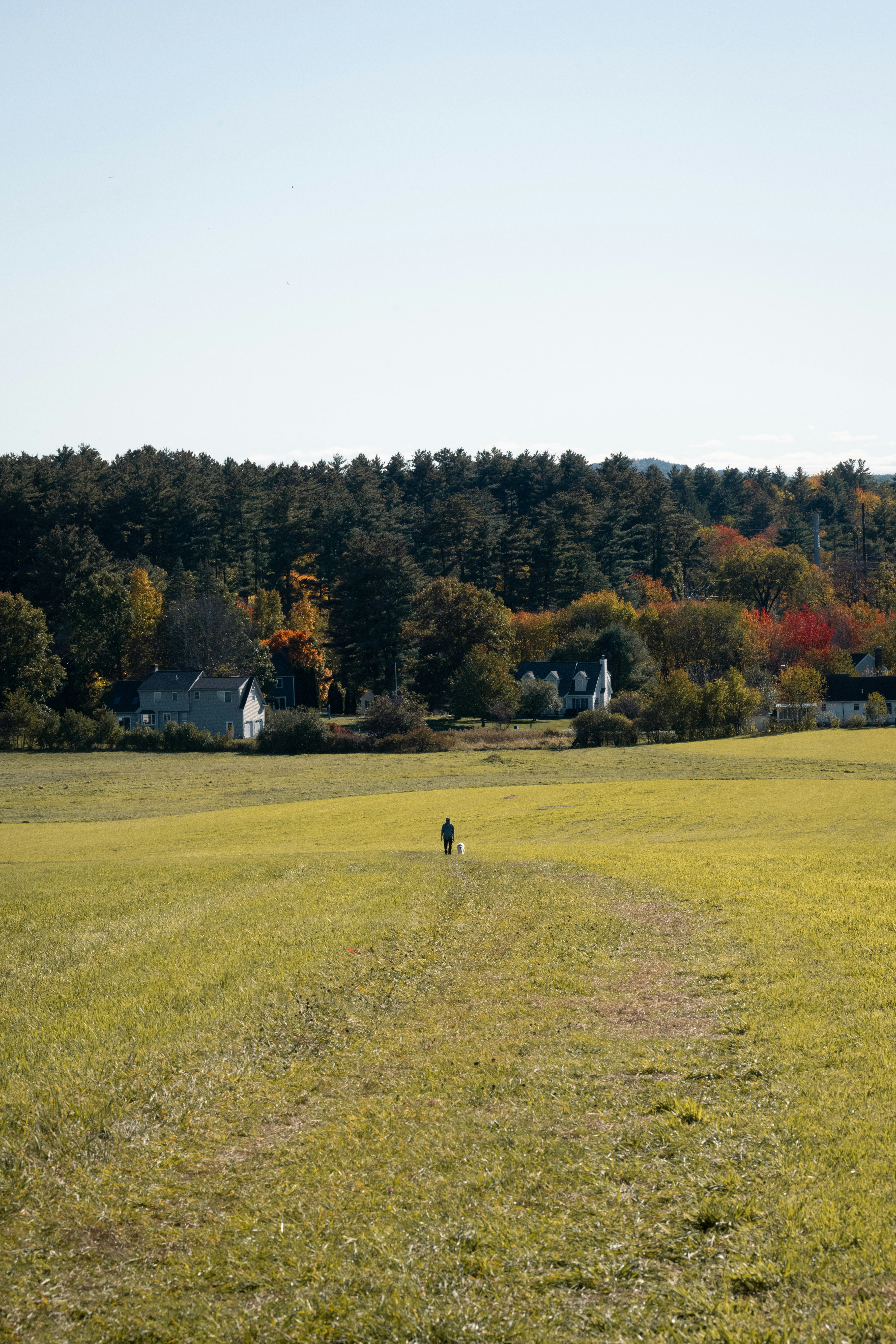 Two Figures Walk a Distant Path Between Open Field and Quiet Village