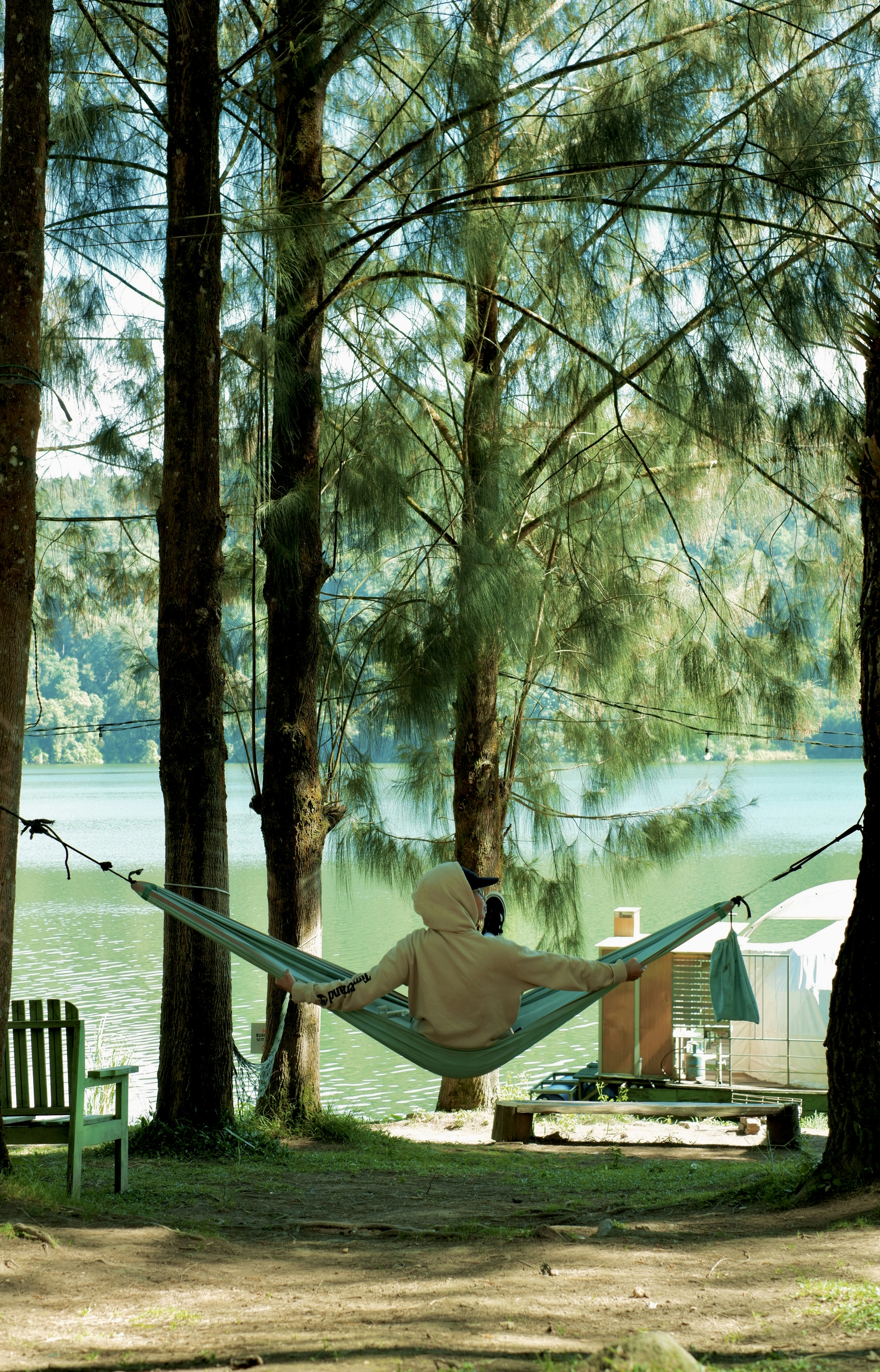 Hammock Escape Under Pine Canopy by a Serene Lake