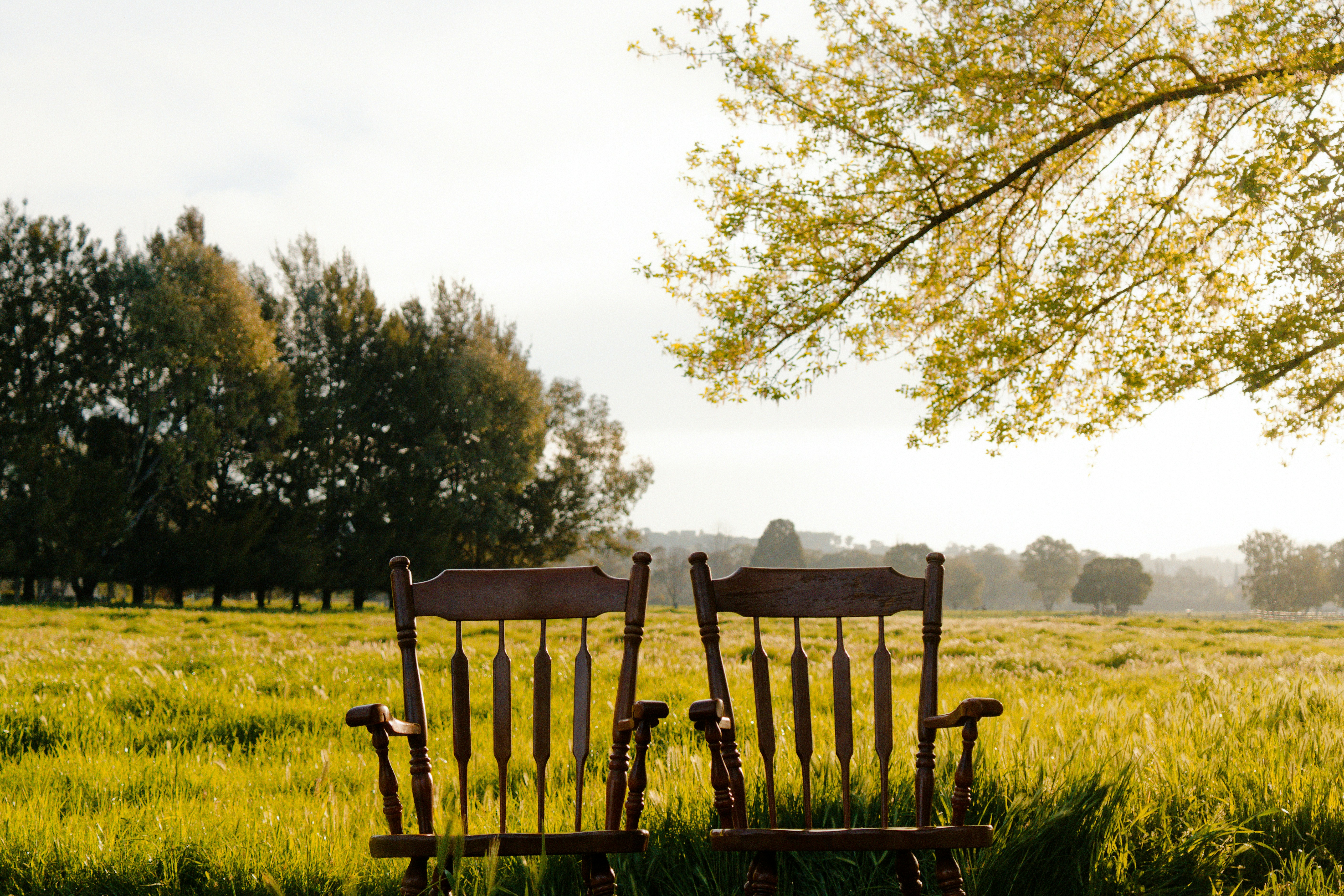 Two wooden chairs sit side by side in a sunlit meadow with a distant tree line and soft morning haze.
