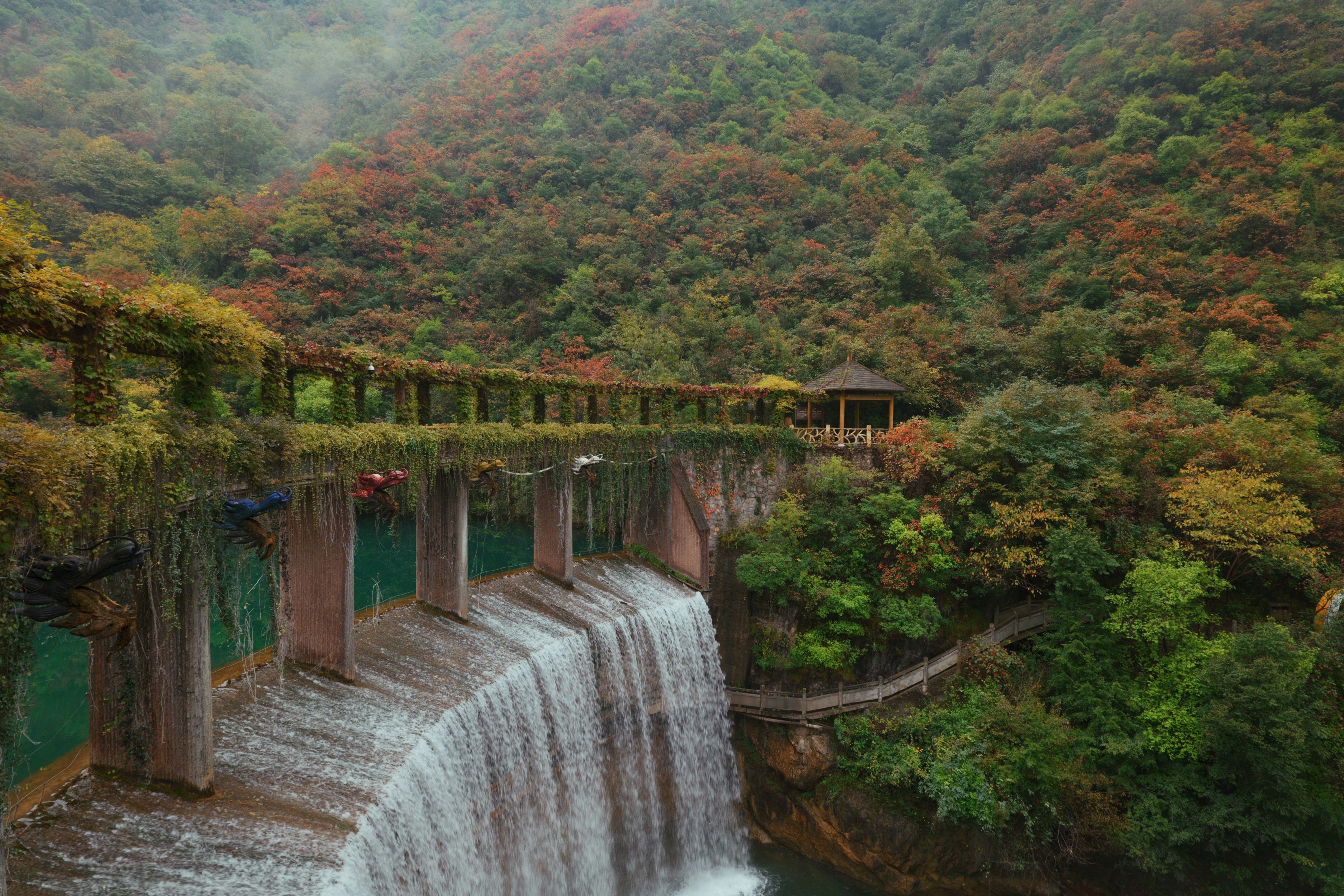 Autumn Cascade: A Green-and-Gold Gorge Framed by a Verdant Bridge