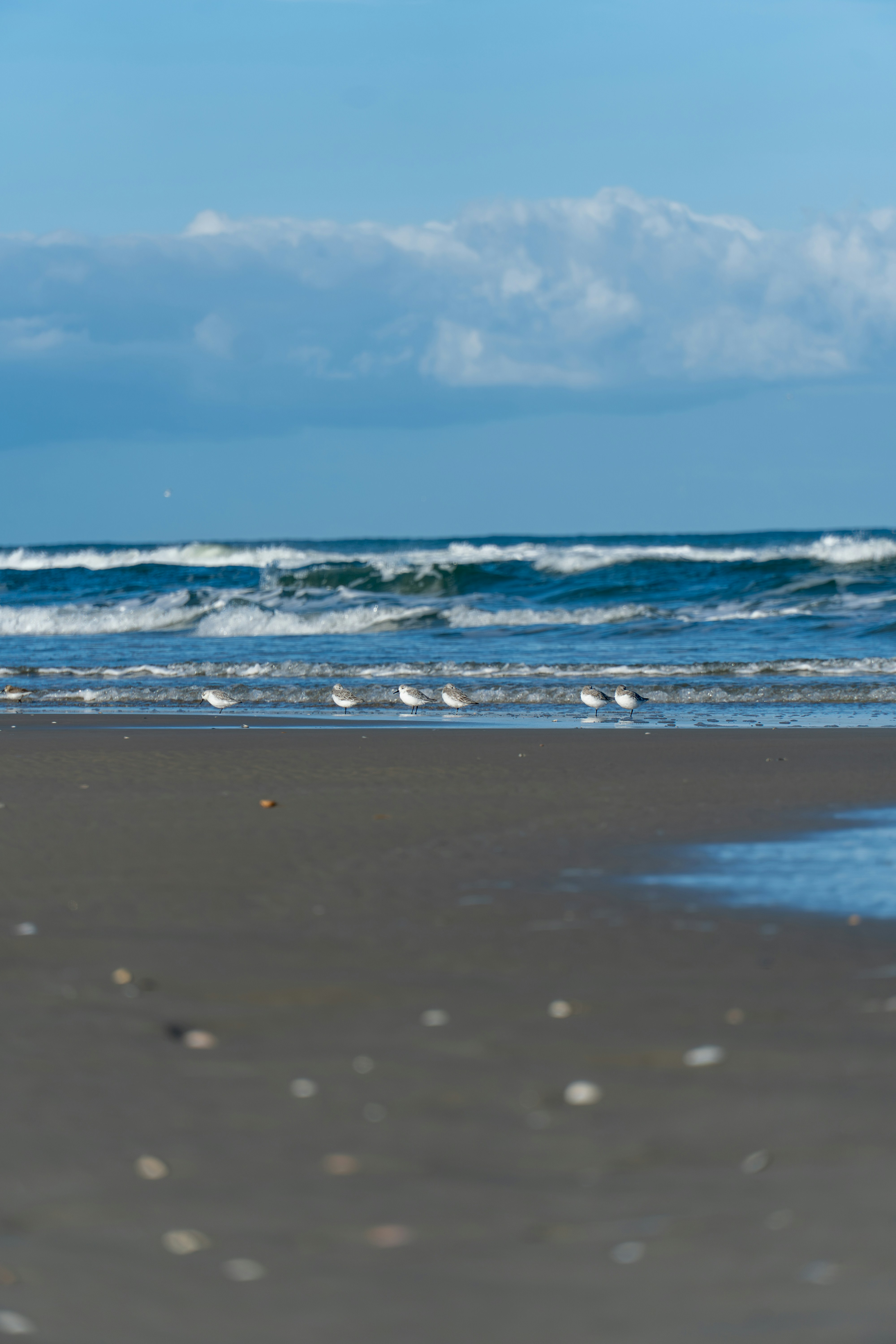 Distant Breakers at the Quiet Shore