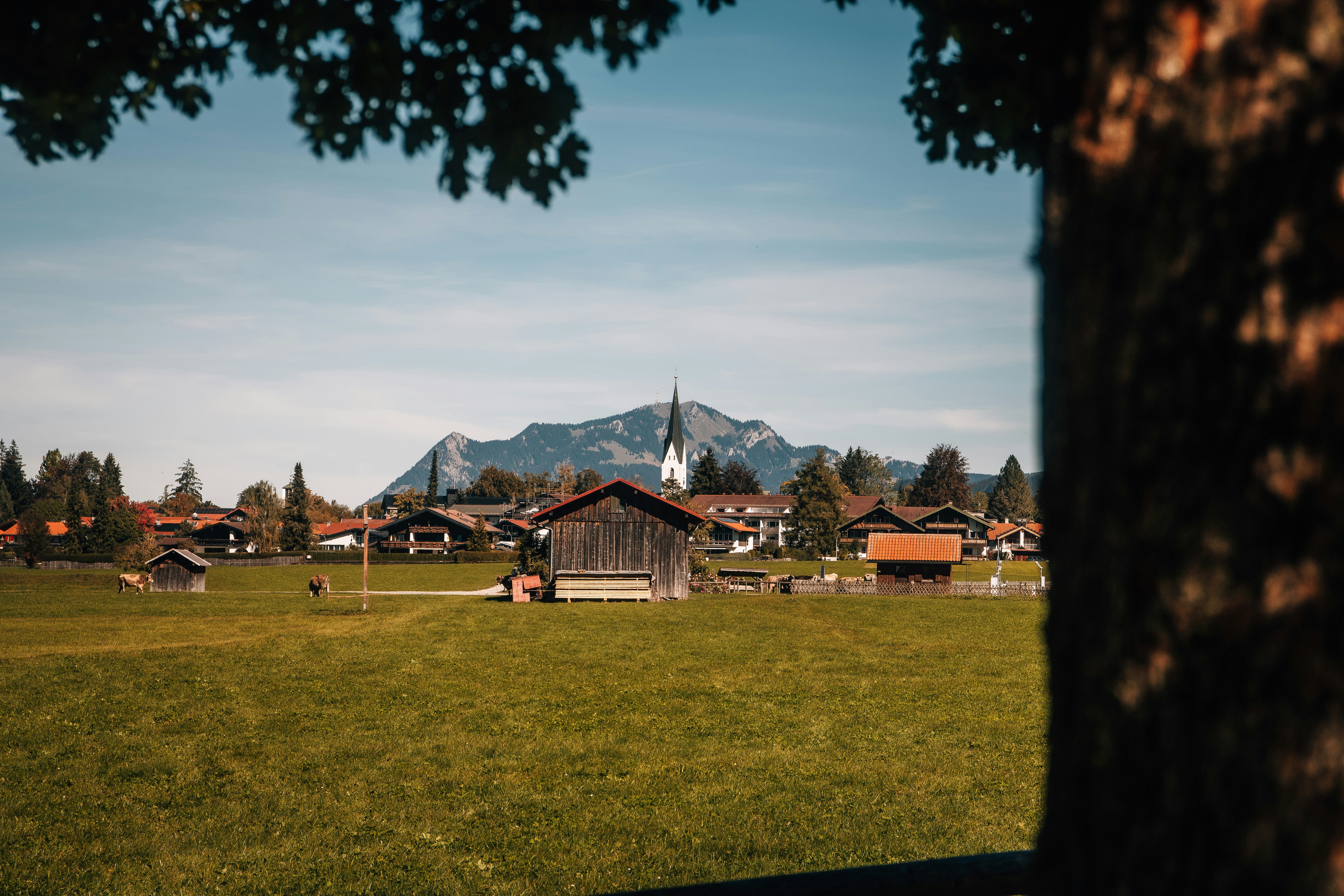 Quiet Alpine Village Sheltered by a Distant Peak