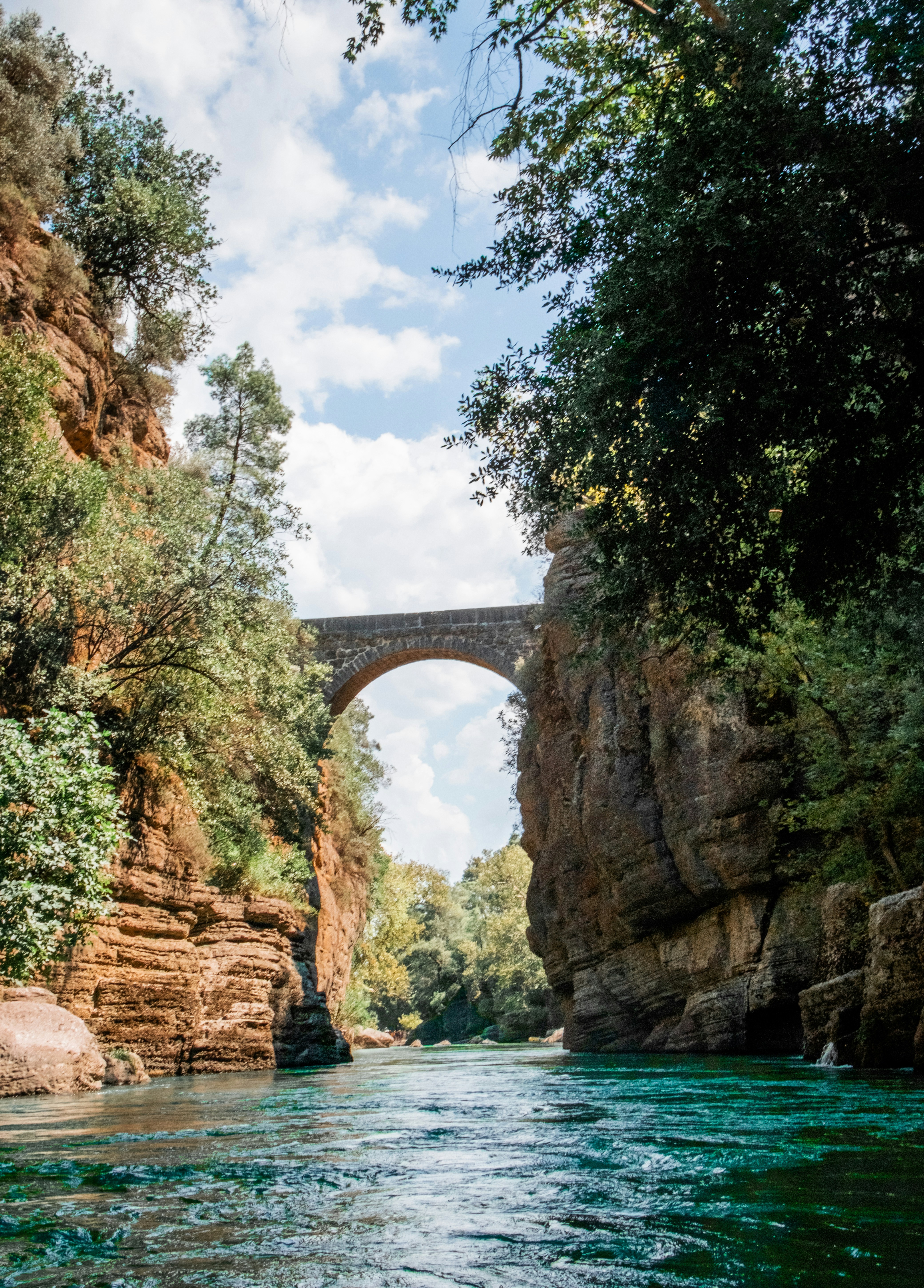 Bridge over Emerald Gorge: A Creek carved by Time