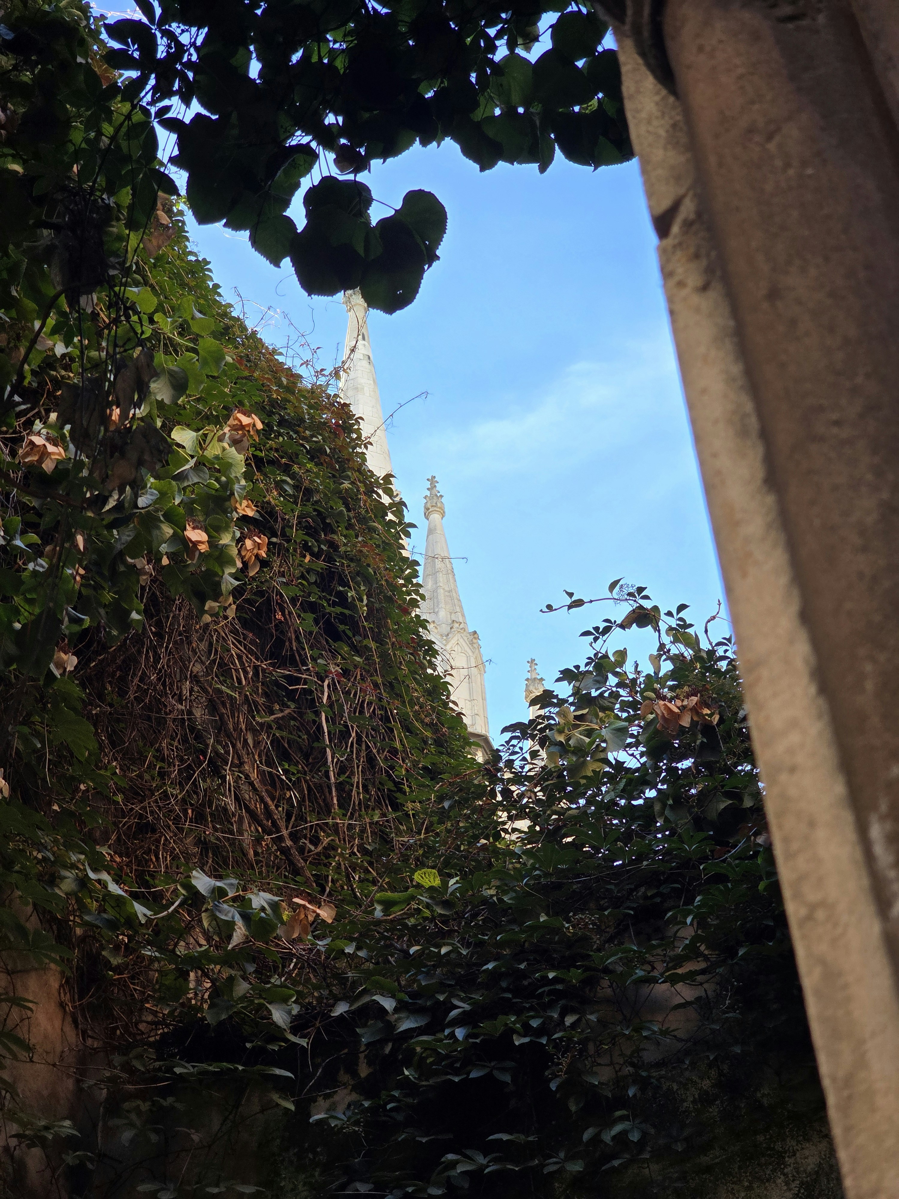 Vine-Cloaked Archway Opens to a Gothic Sky
