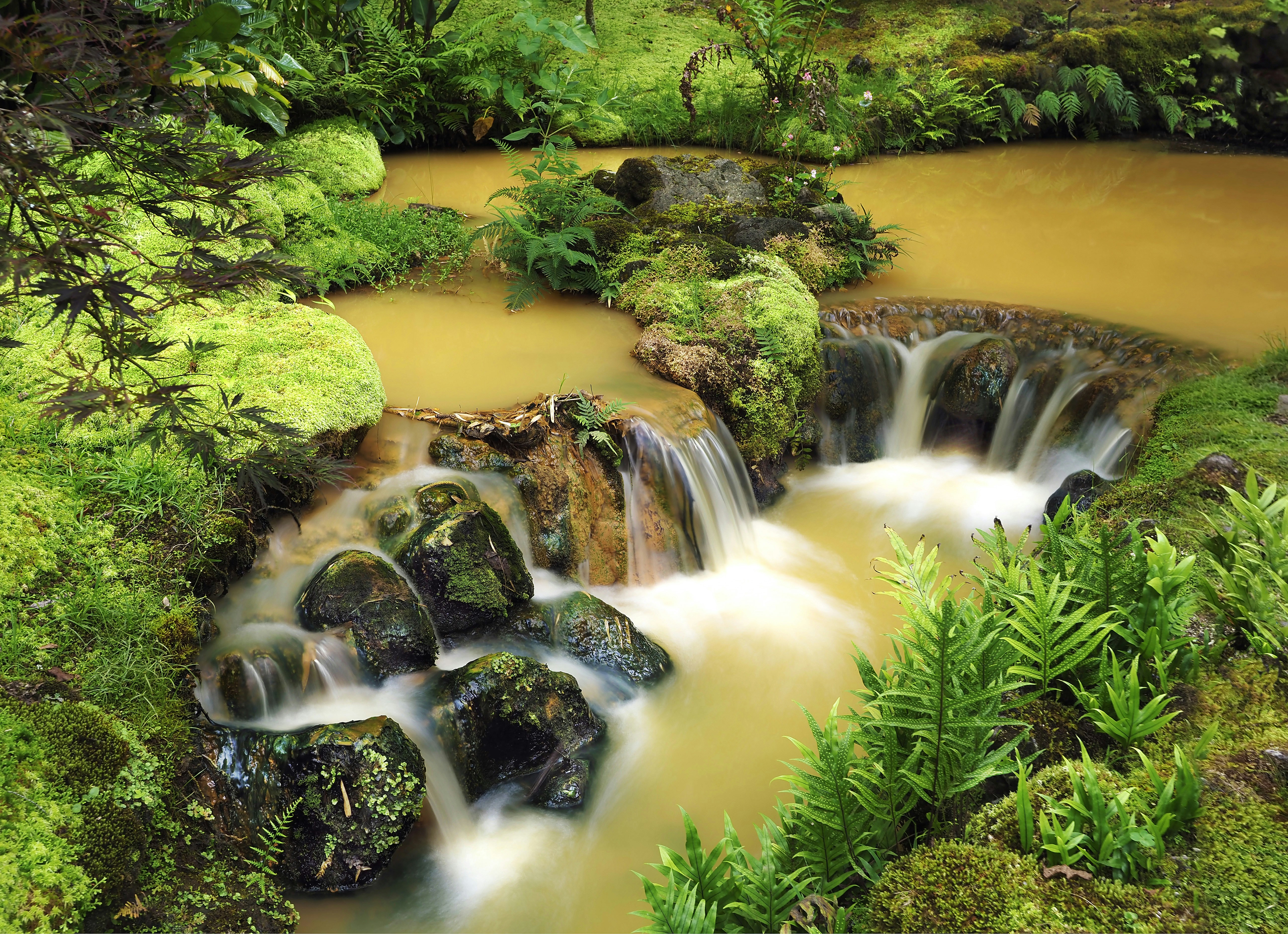 Lush green moss surrounds a small multi-tiered waterfall with amber-hued water weaving through rocks; a tranquil garden stream scene highlighting soft motion and vibrant plant life.