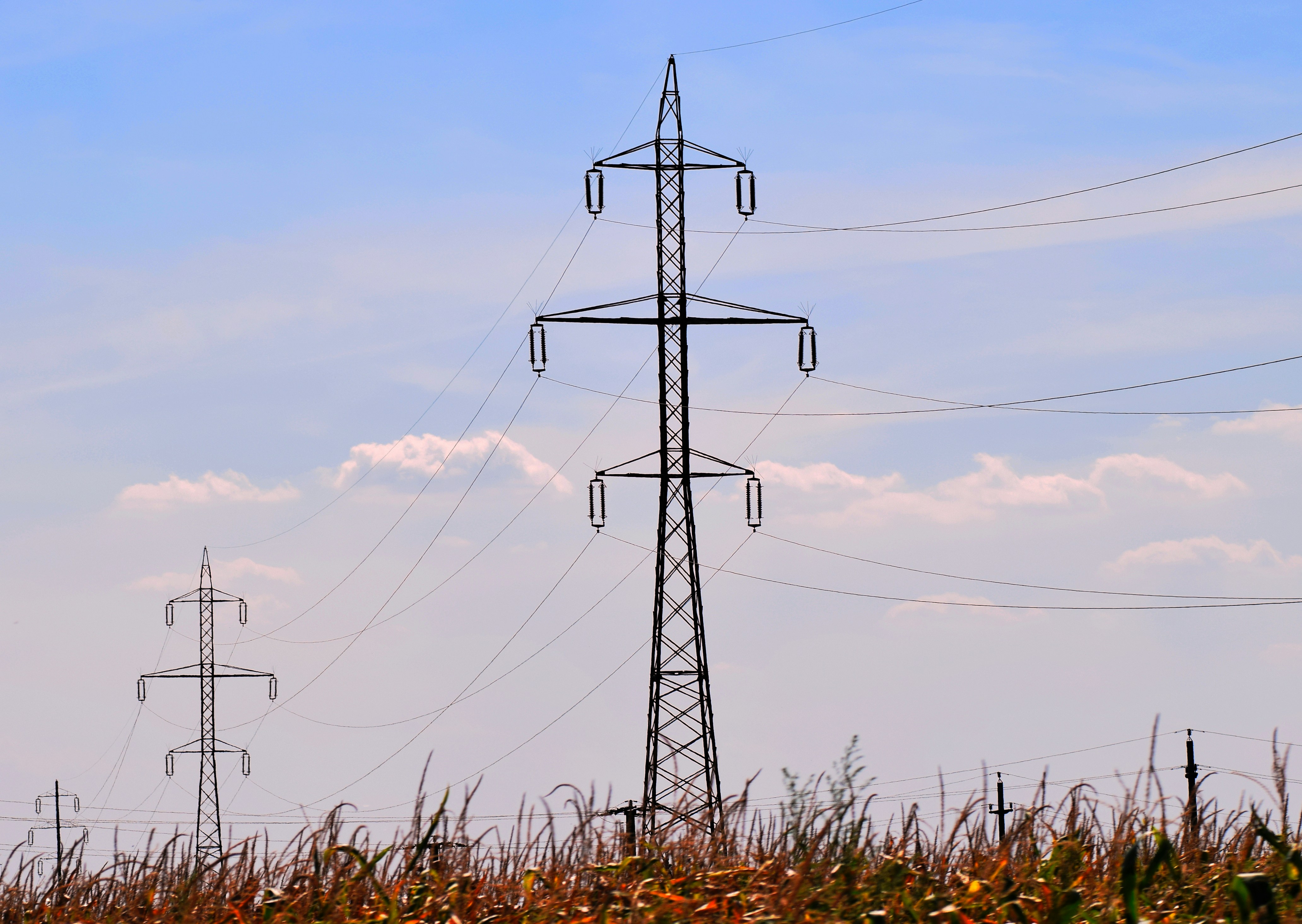 Silhouetted Transmission: A Field of Towers Reaching for the Sky