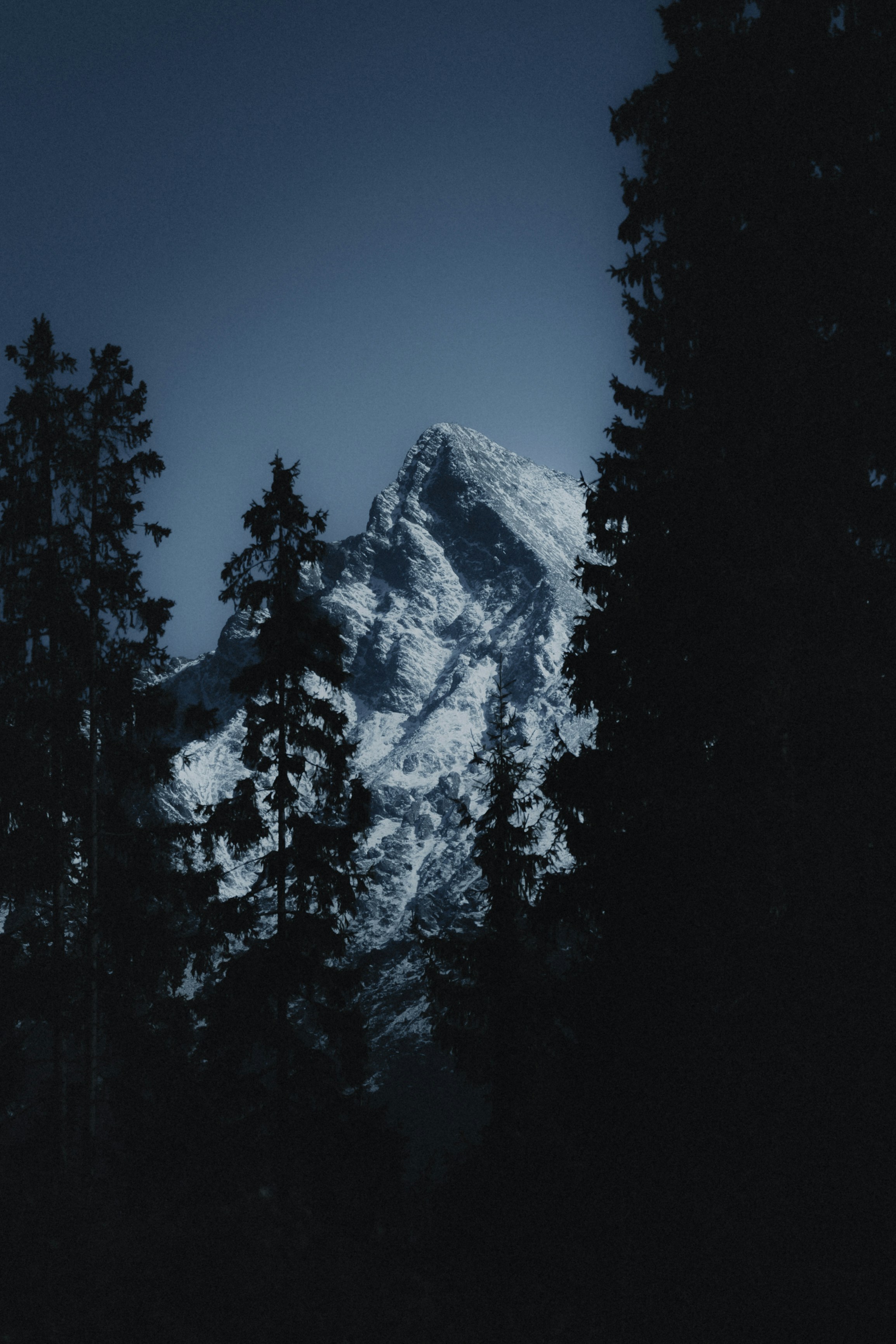 Peak Veil in Twilight Pines