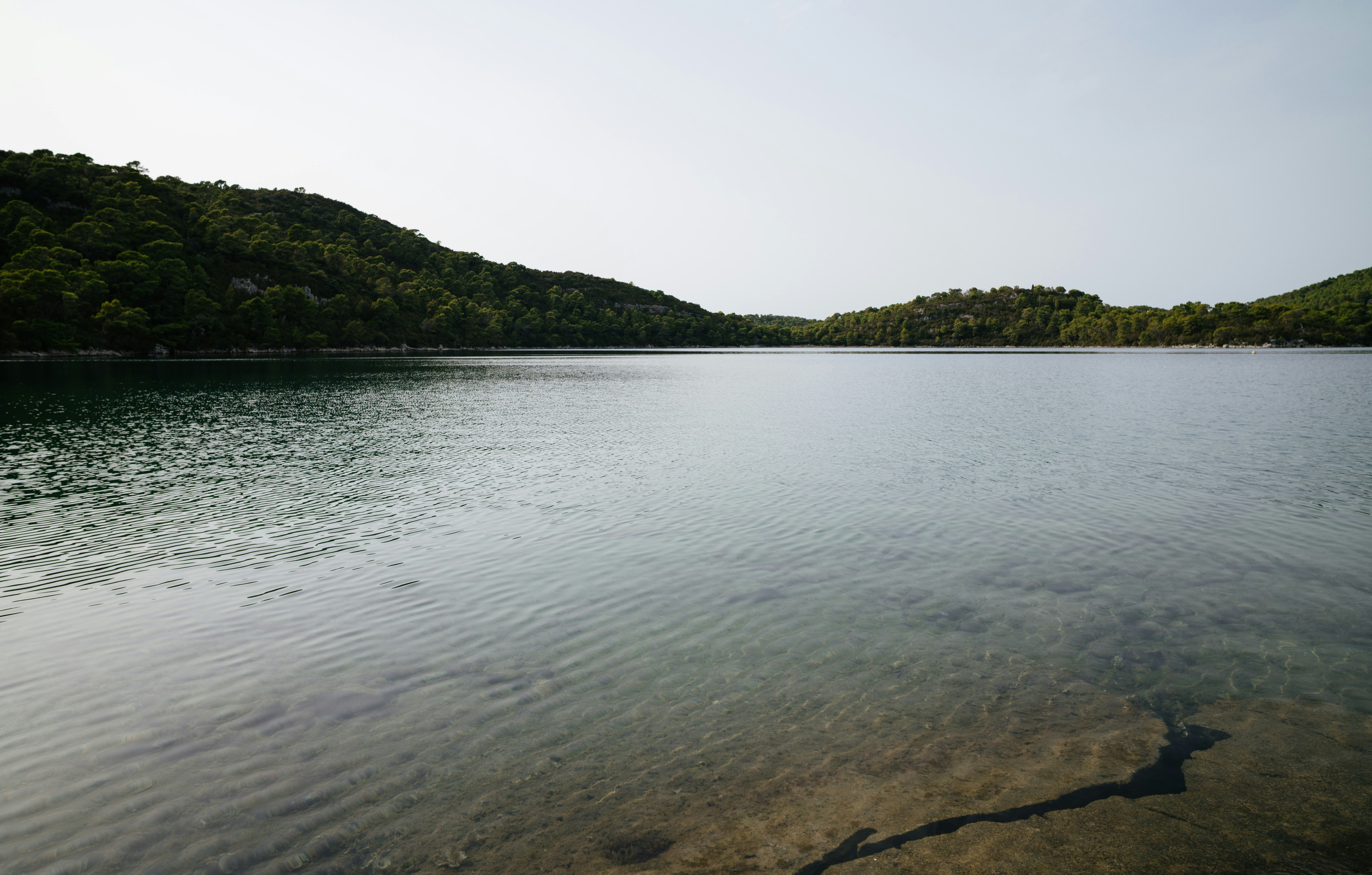 Tranquil shoreline and calm water extend to forested hills under soft daylight; shore reveals shallow, clear water with subtle rocks and a hint of aquatic life.