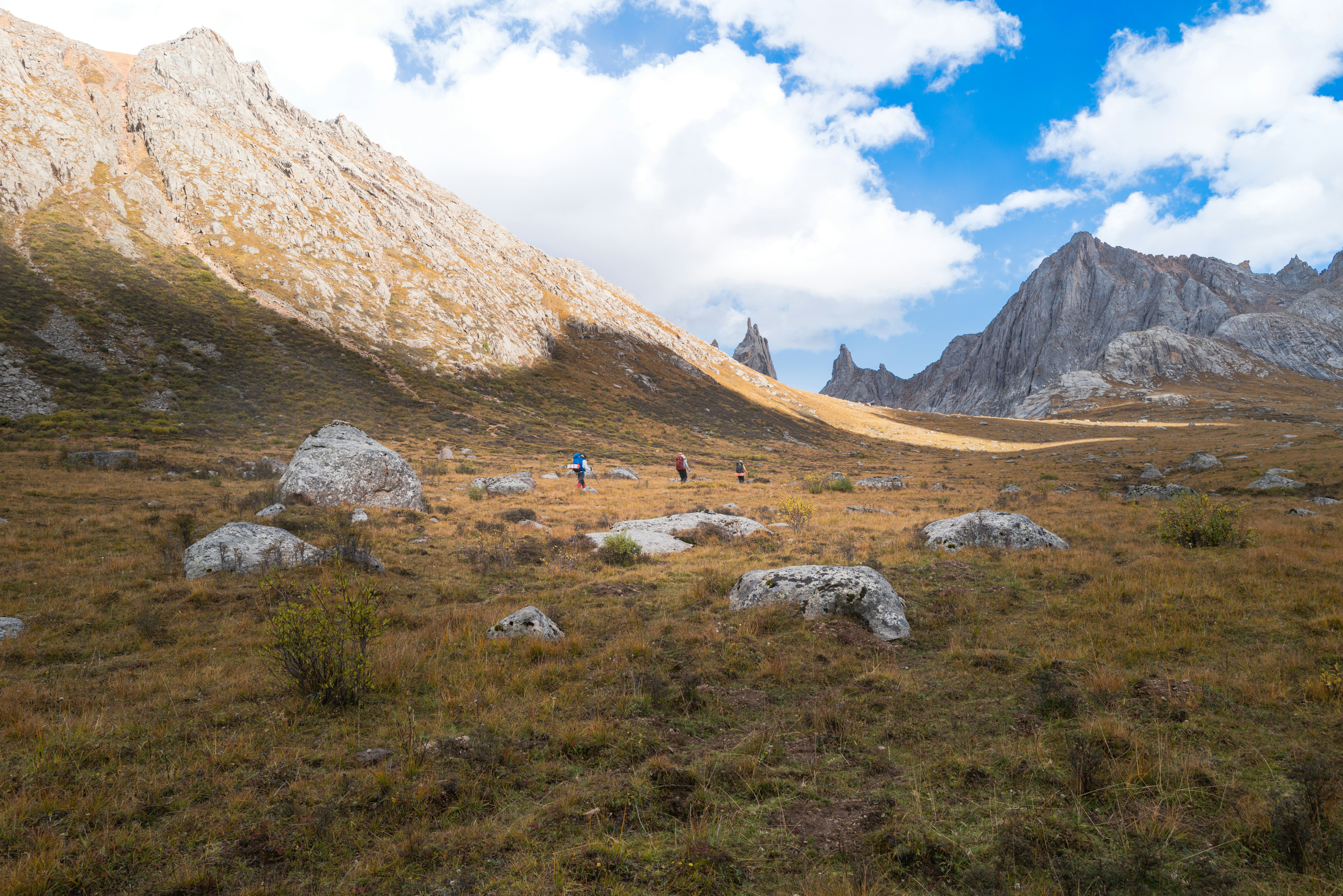 Three hikers walking across a vast golden meadow beneath towering rocky mountain peaks