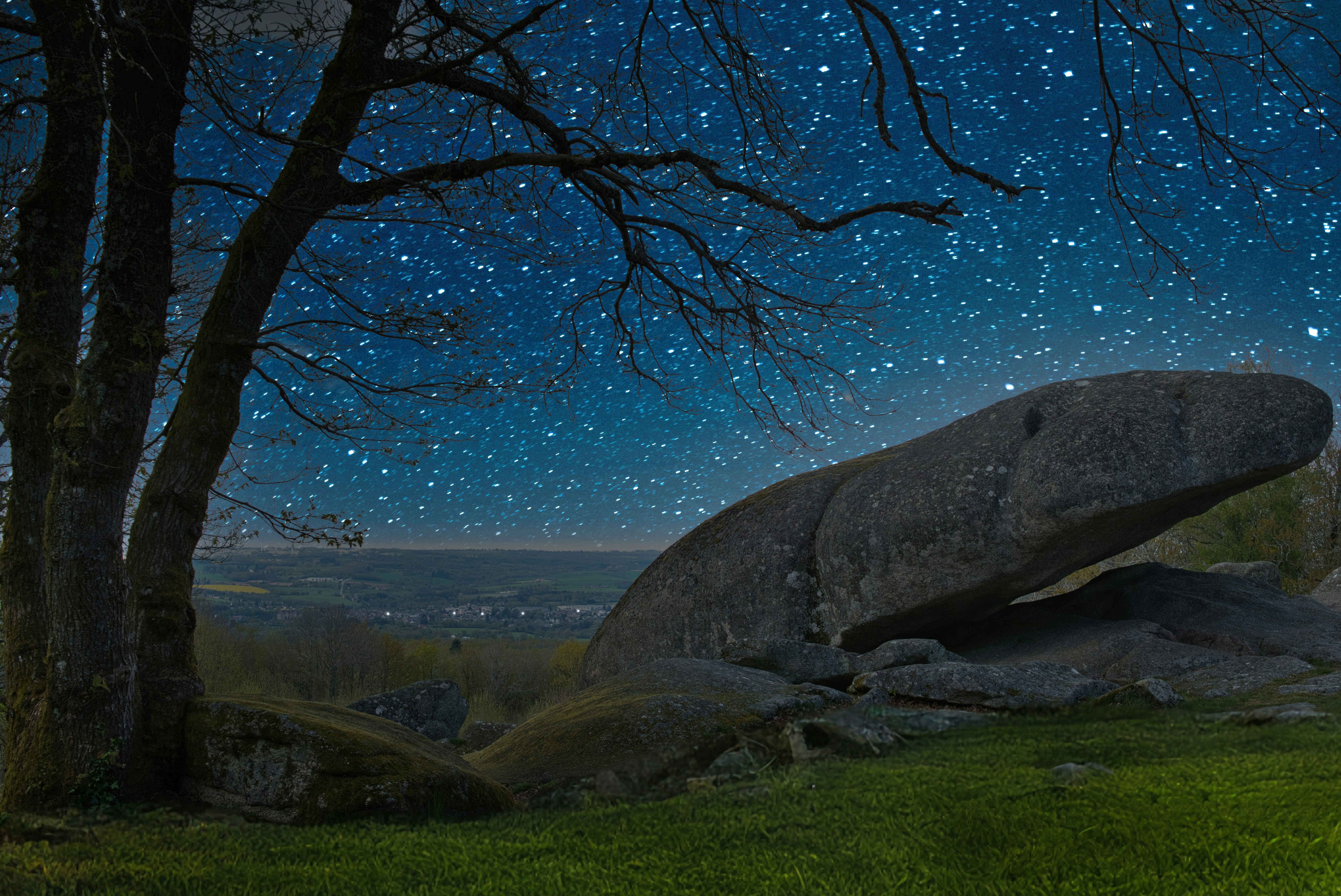 Night of Quiet Giants: Starry Sky Over a Stone Bench