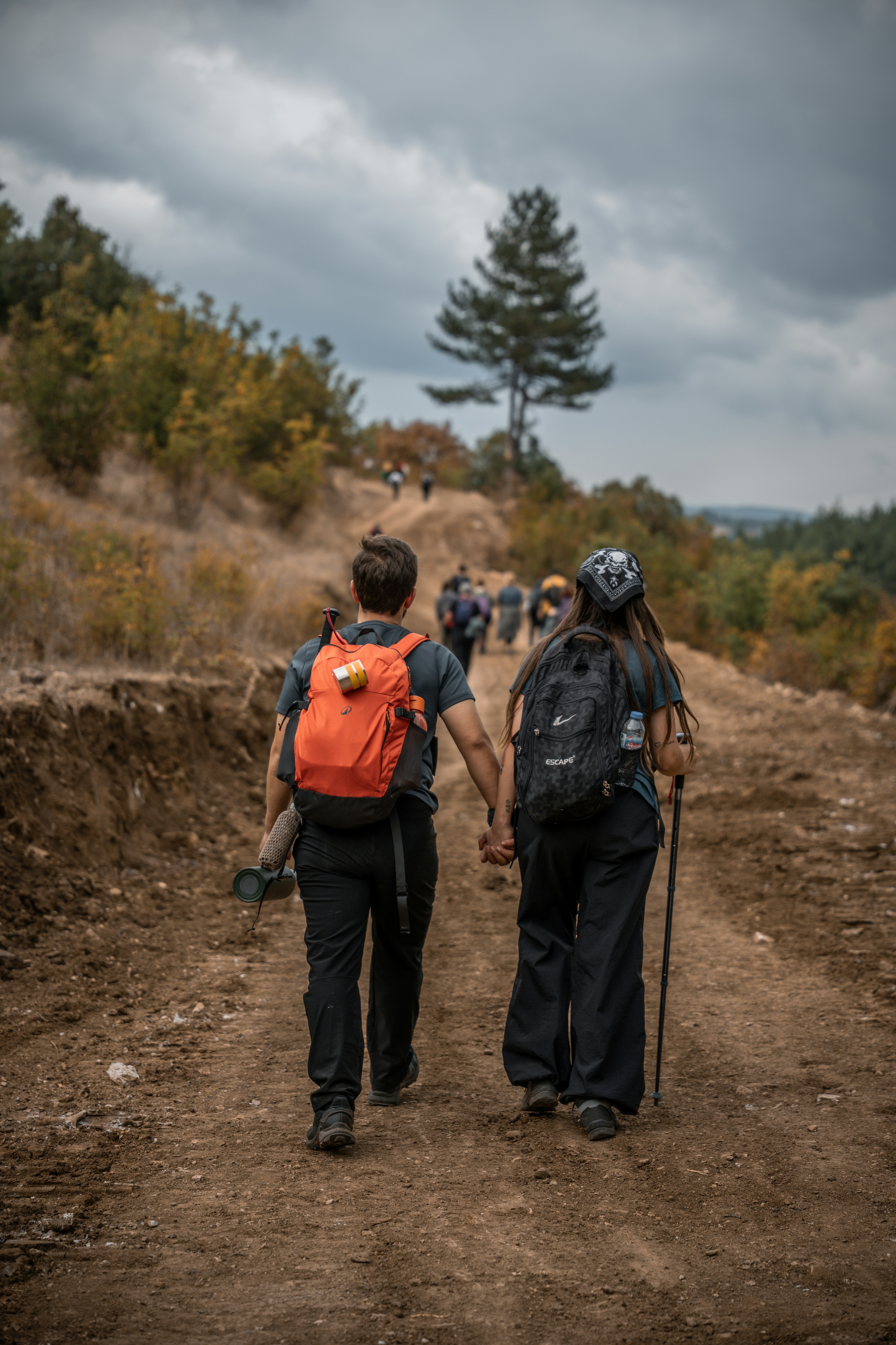 Along the Winding Trail: A Shared Journey into Autumn Forests