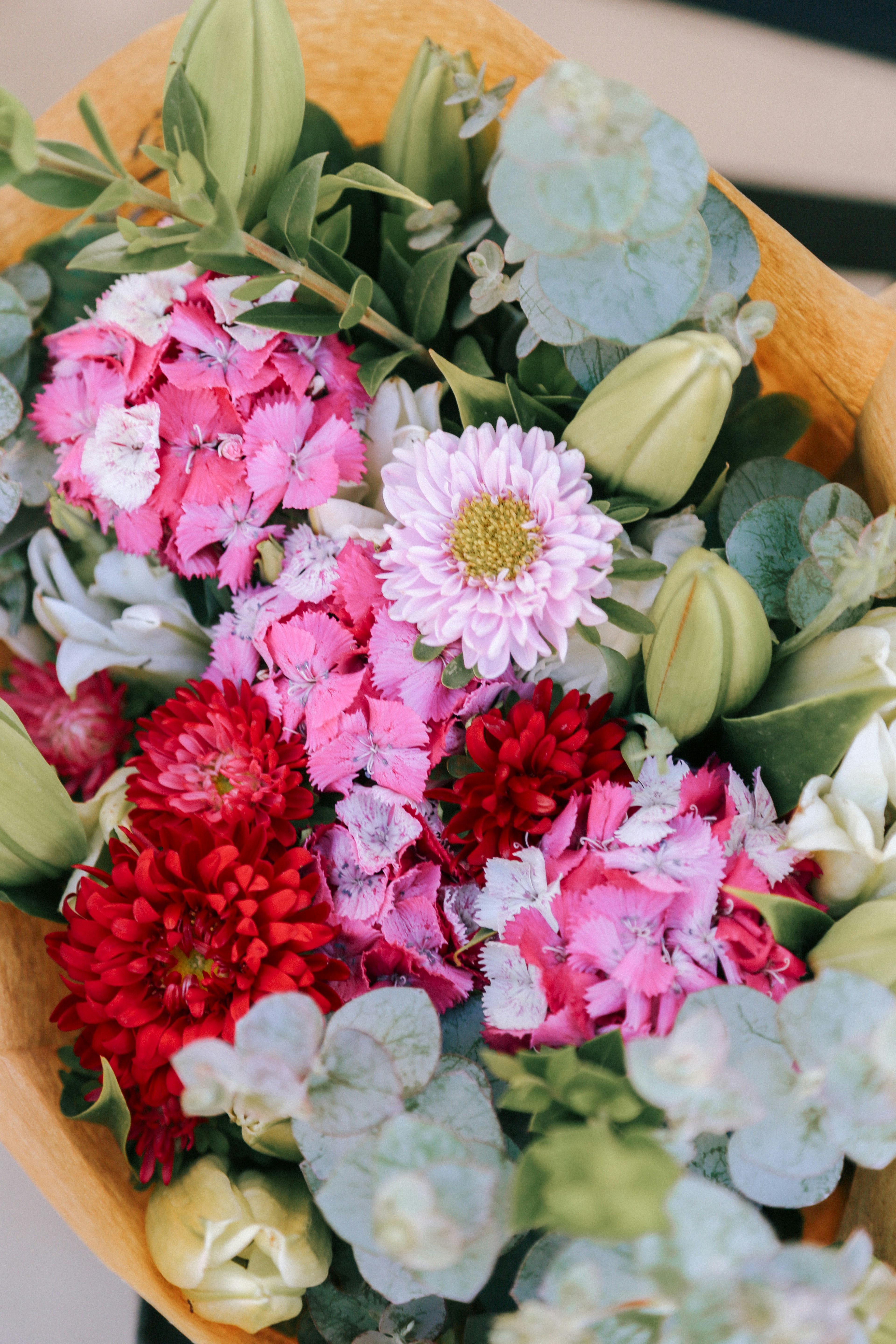 Rosy Bouquet in Soft Evening Light