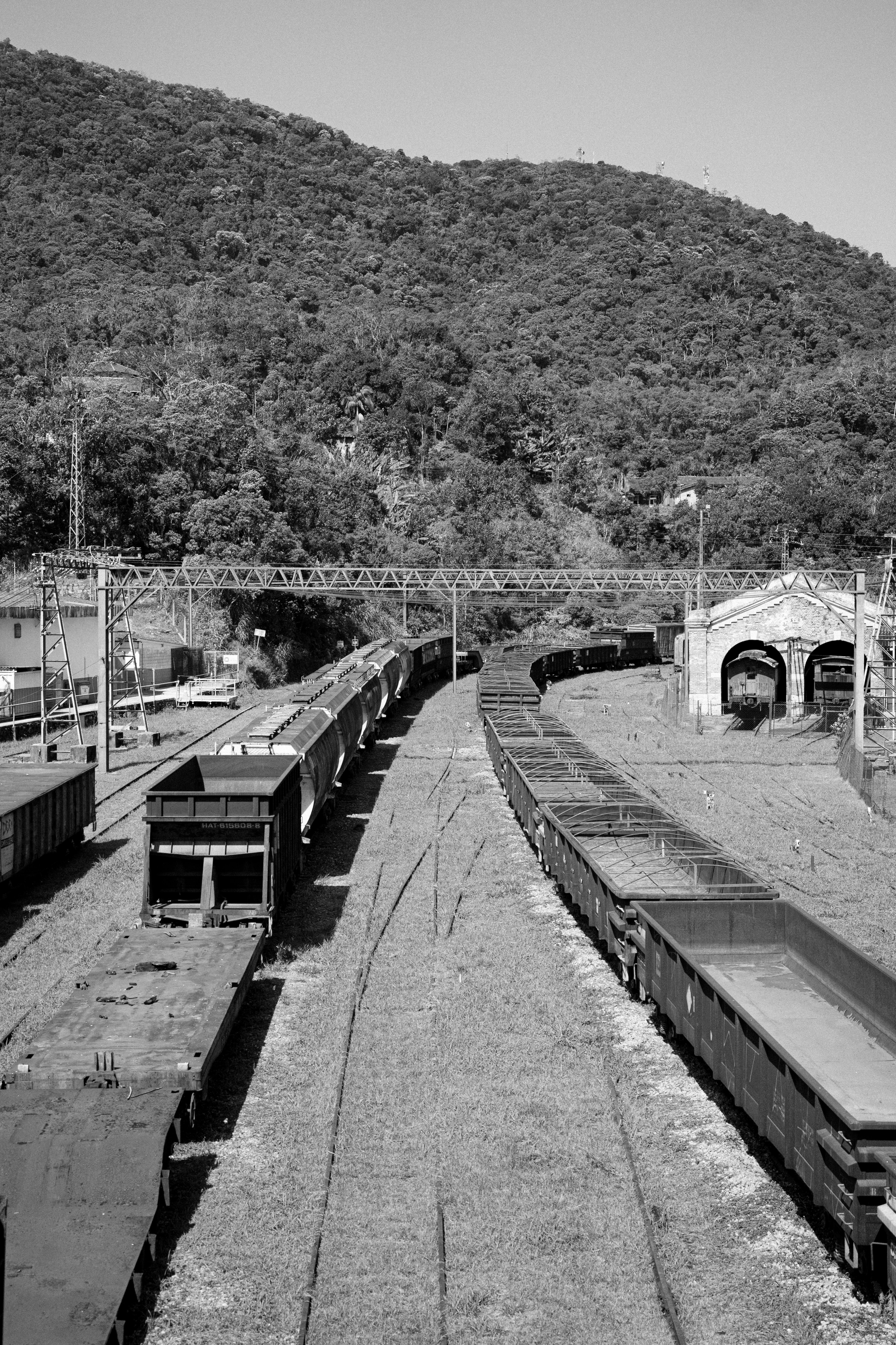 Locomotive Rows: A Quiet Run Through the Yard