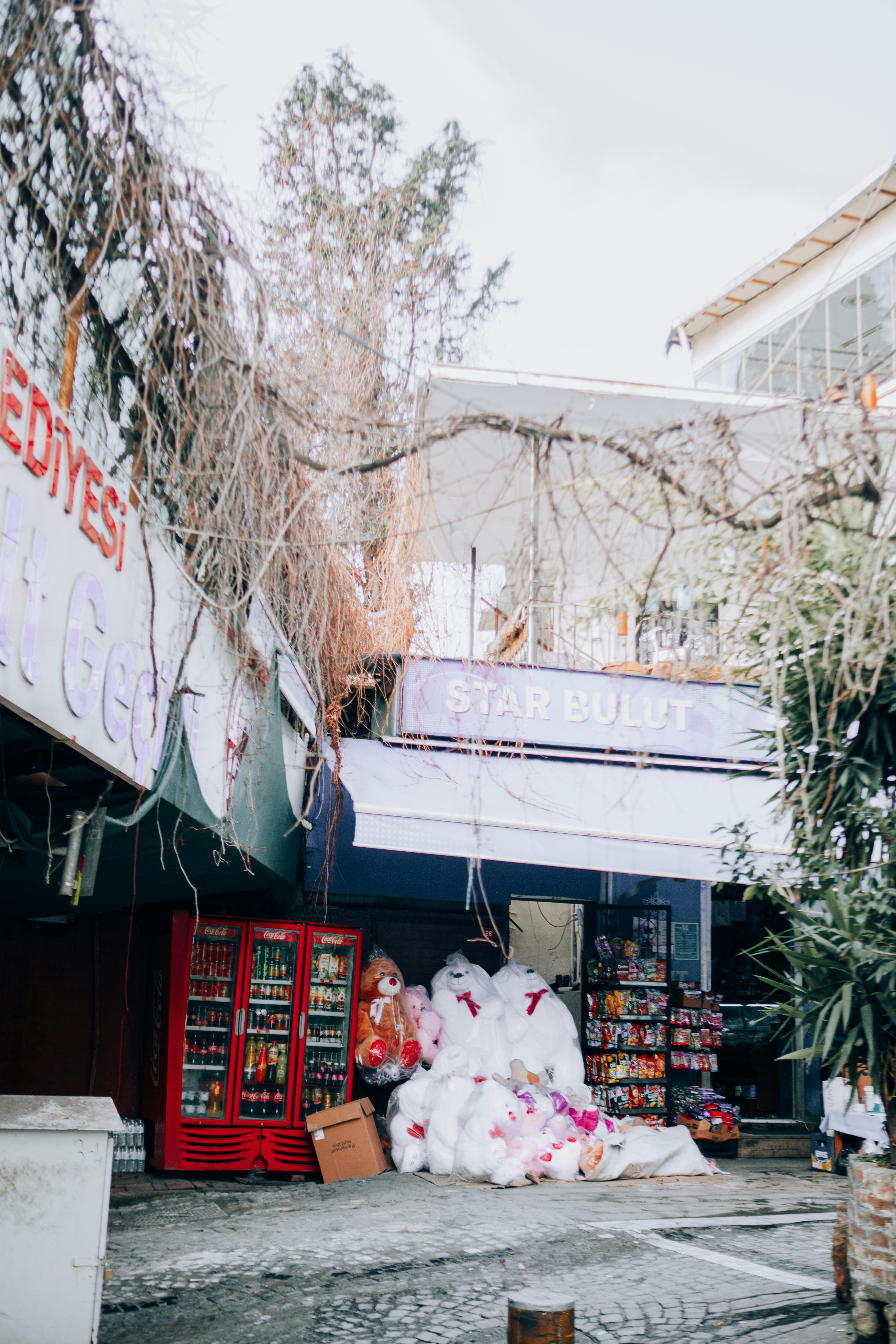 Snowy Plush Stall Under a Faded Strip Mall Sign