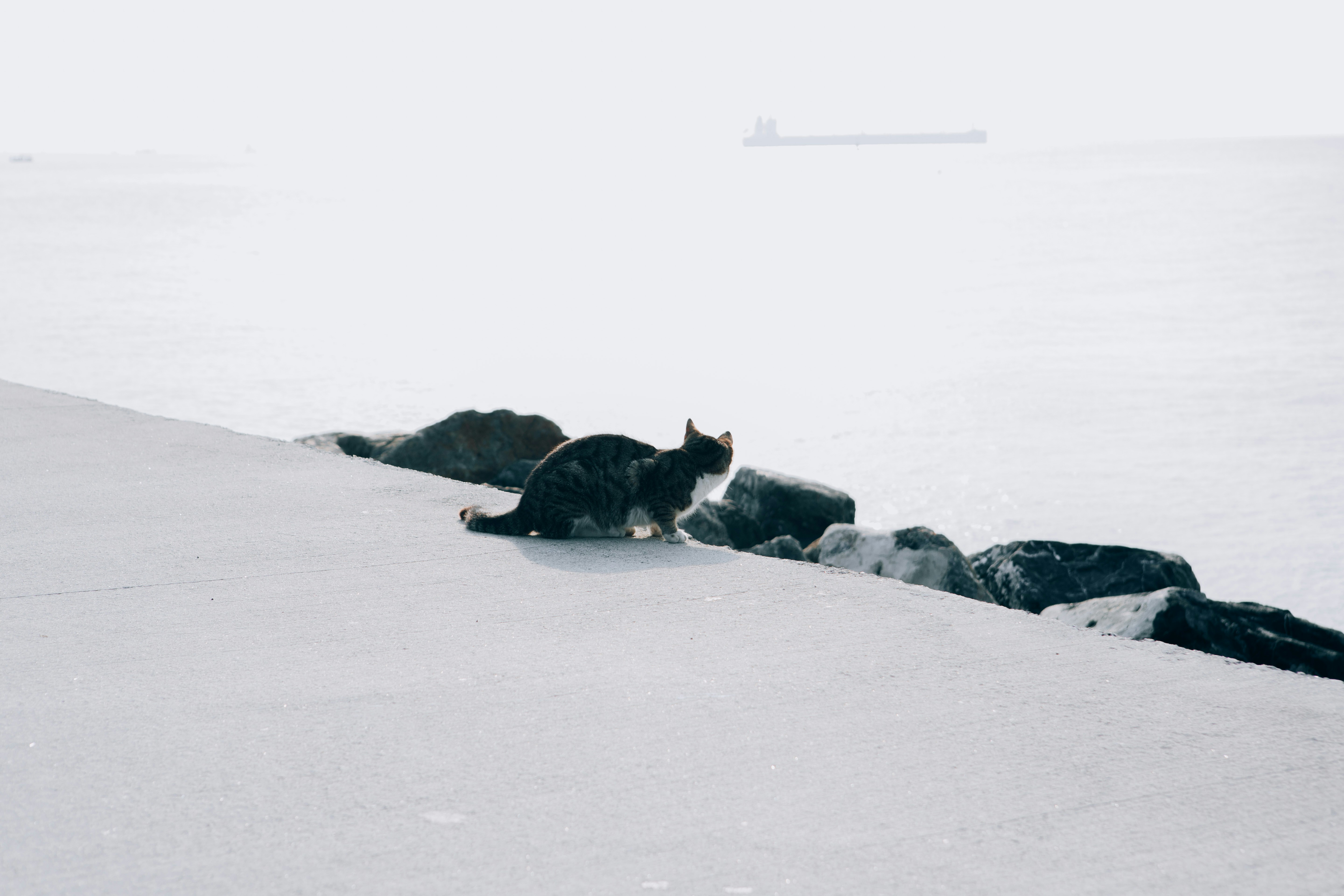 Photographs taken during a trip to Istanbul, Türkiye, in February 2022, documenting the city and its winter atmosphere. Edited with the photographer’s signature color grading in cool tones. Photo by Khusen Rustamov
