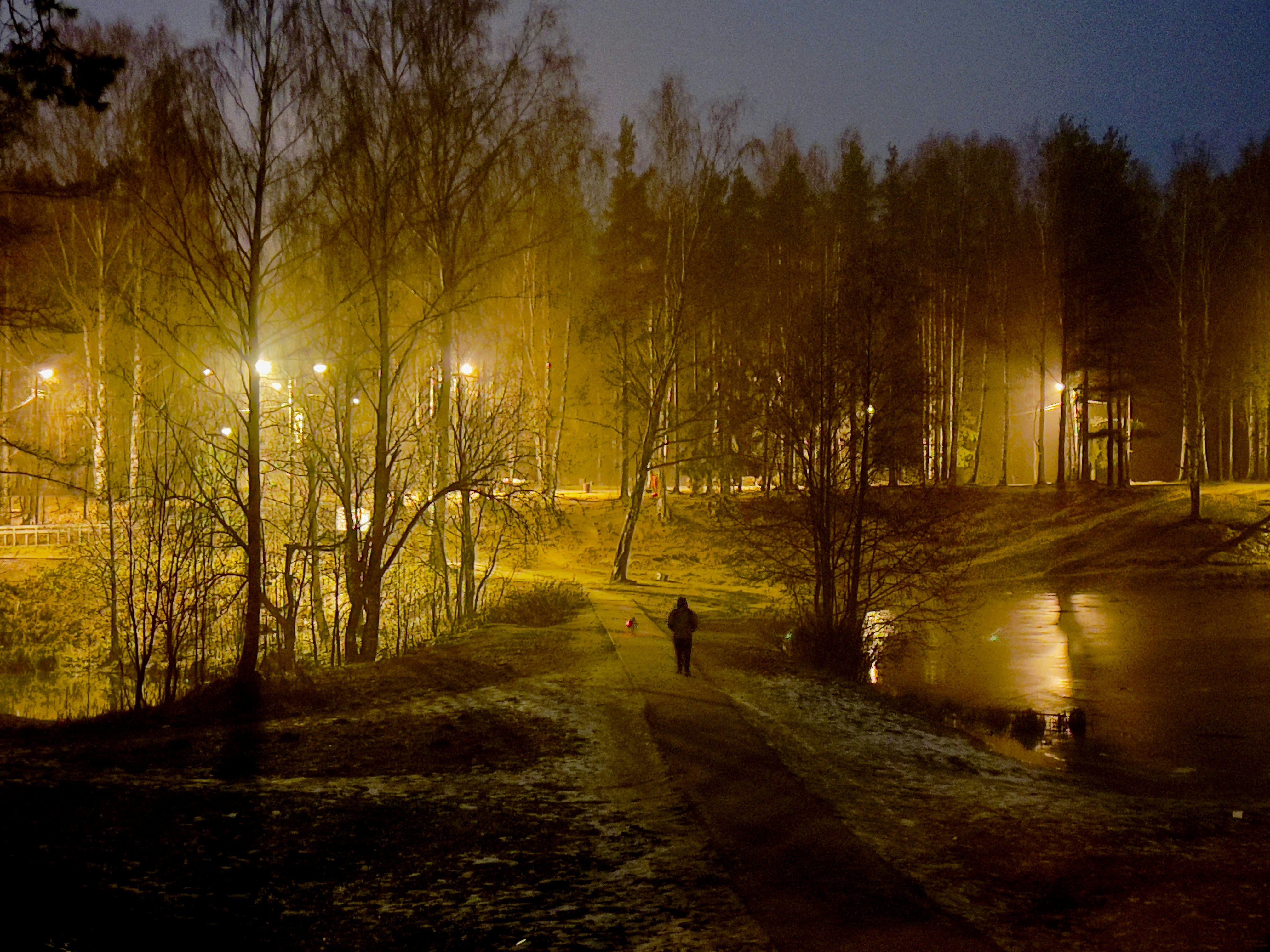 Lonely Path Under Streetlight Chorus