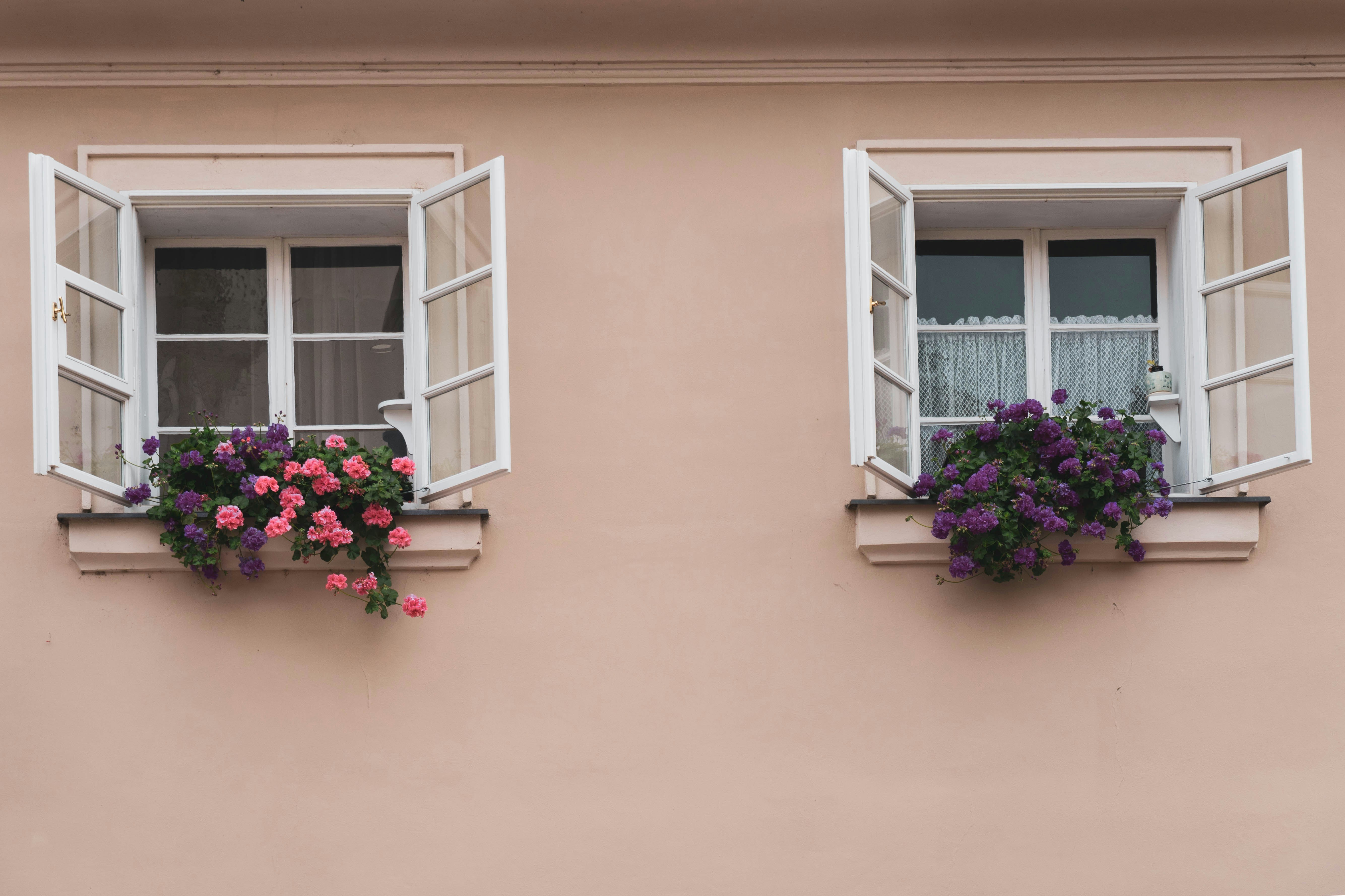 Balconies in Bloom: Dual Window Boxes Against Peach Facades
