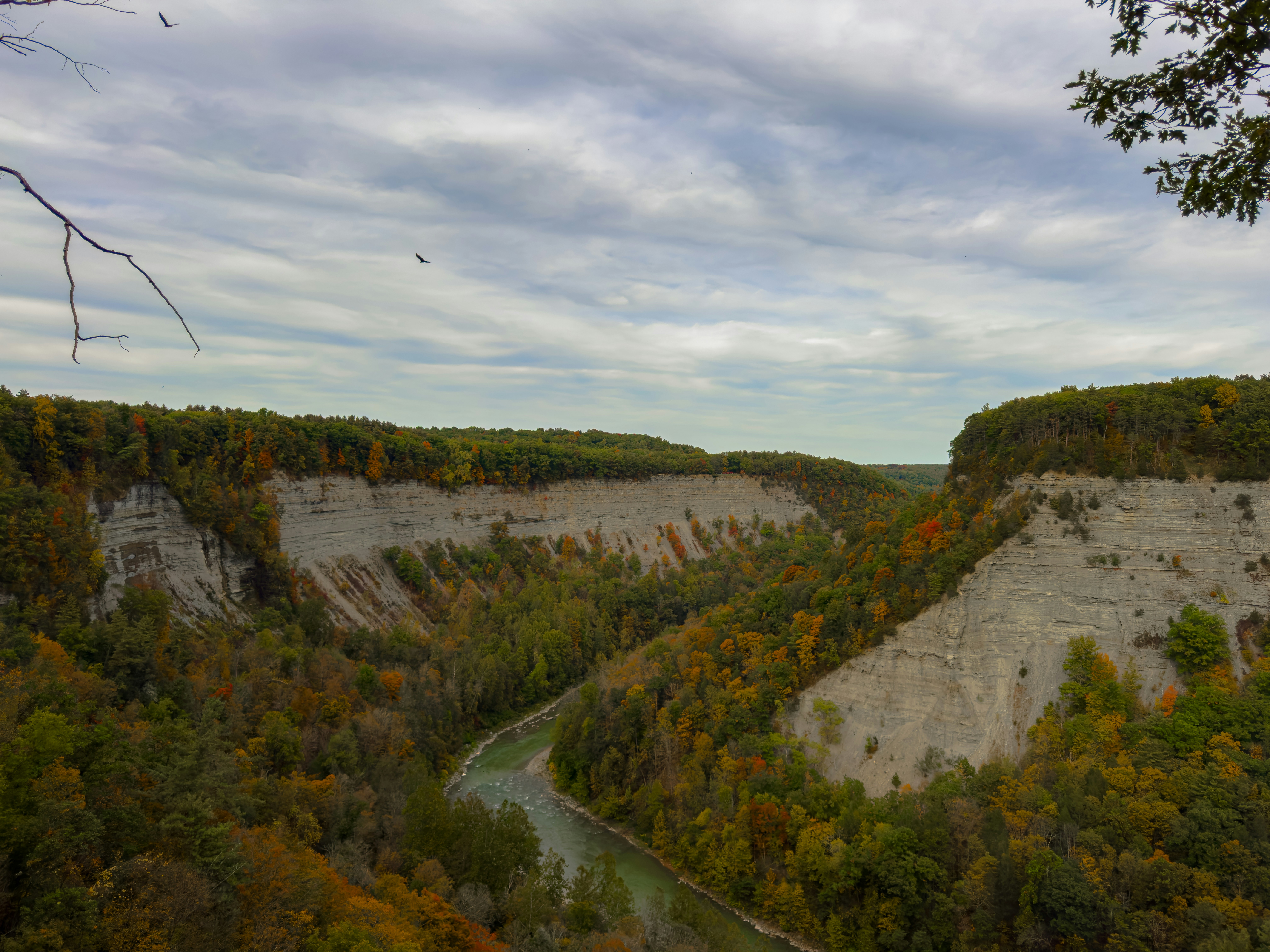 Autumn foliage frames a winding river between pale cliffs and forested slopes, capturing a broad canyon scene with a sweeping sky above.