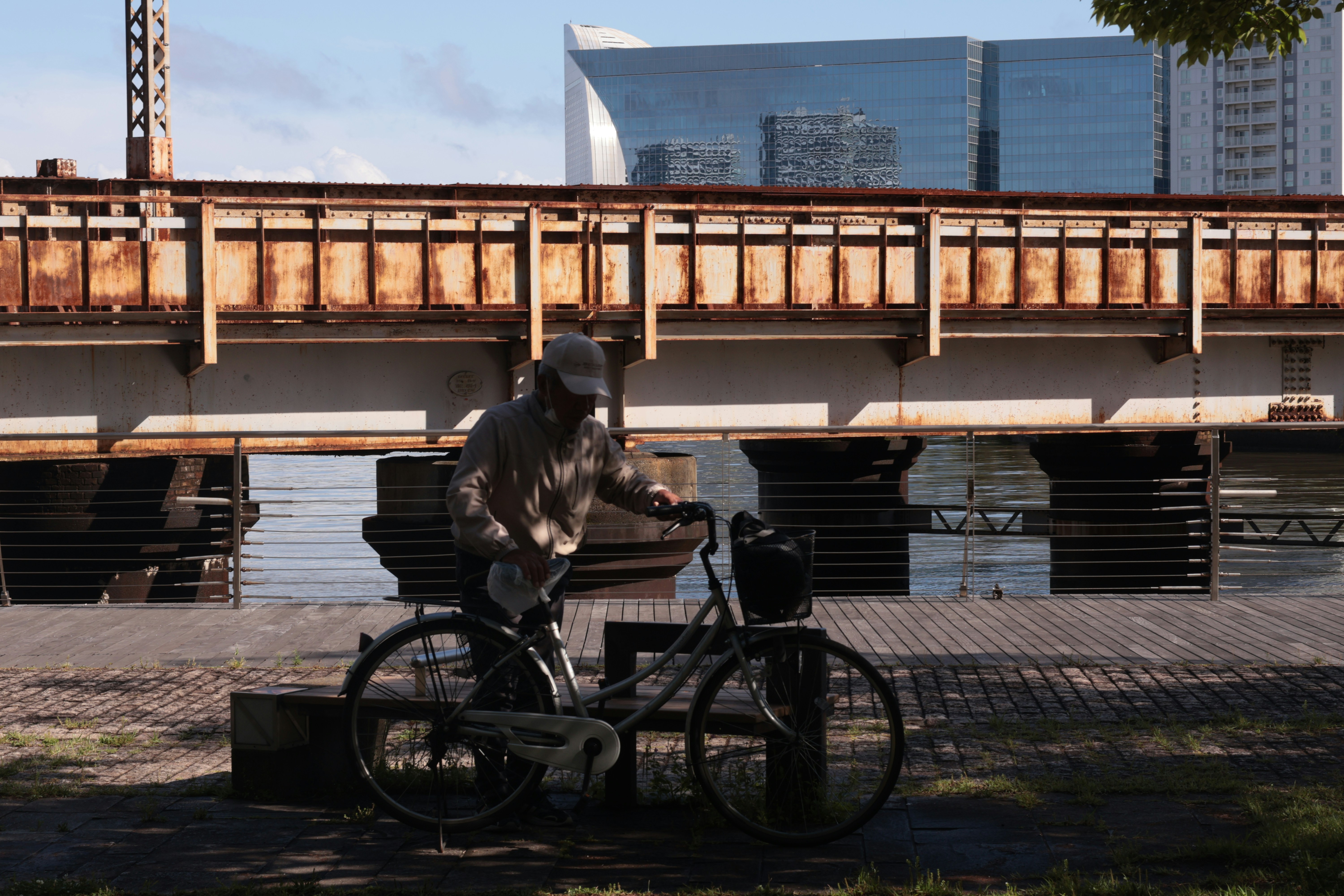 Silent Cyclist in the Dappled Dockside Light