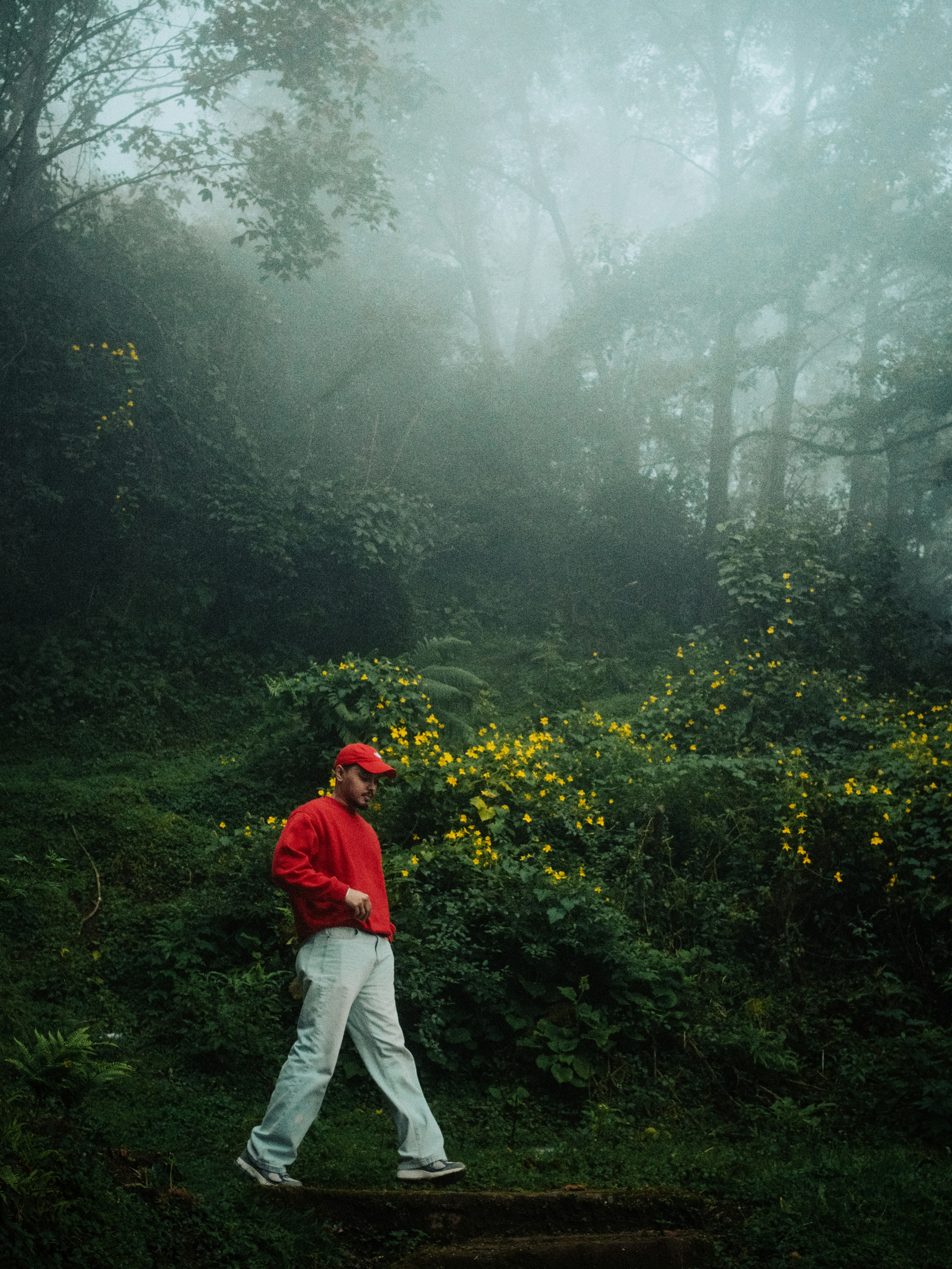 Red-Caped Trekker in Misty Greenery