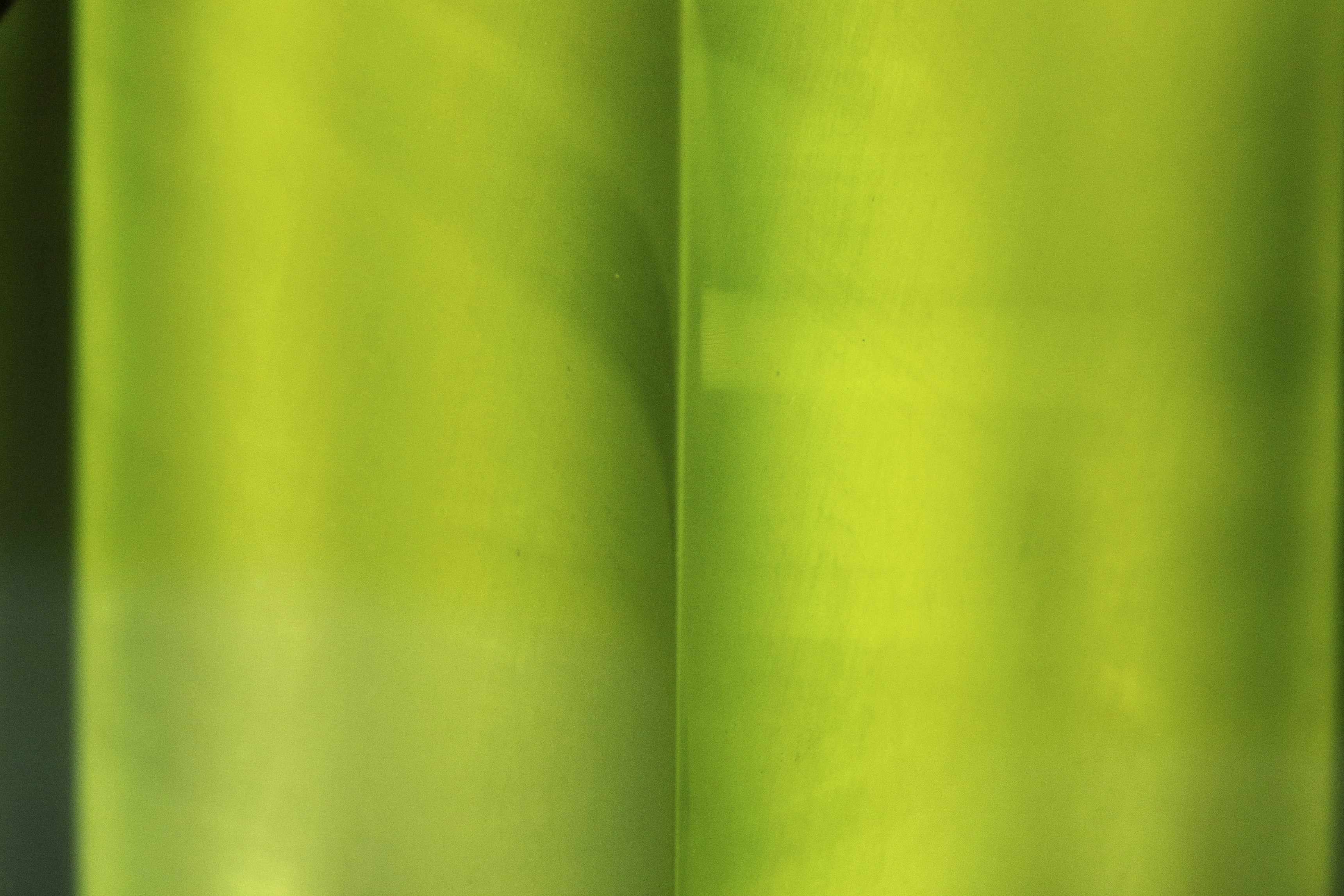 Verdant Curtains: Abstract Green Stripes in Soft Focus