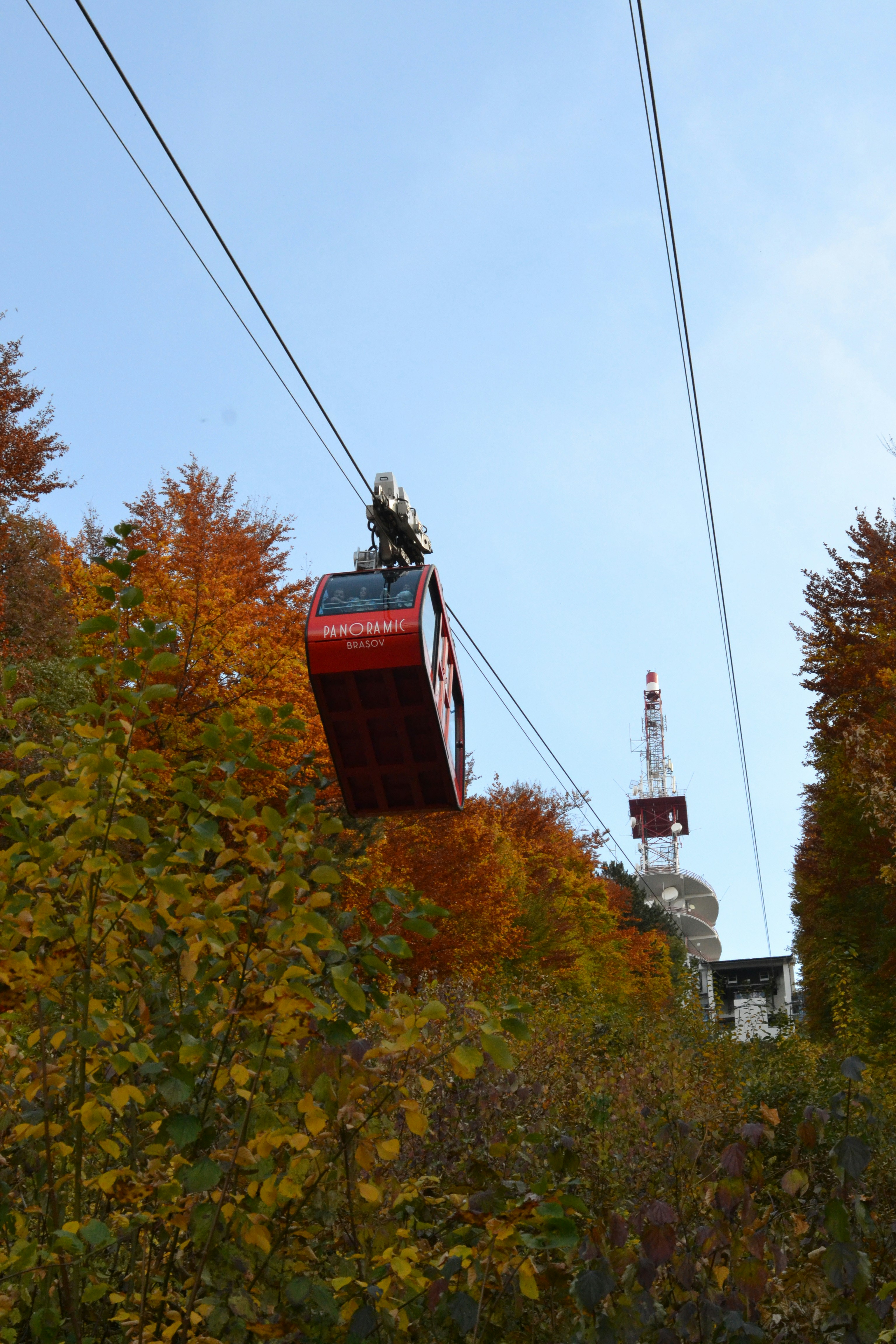 Fall Foliage photo shot on Nikon D3100