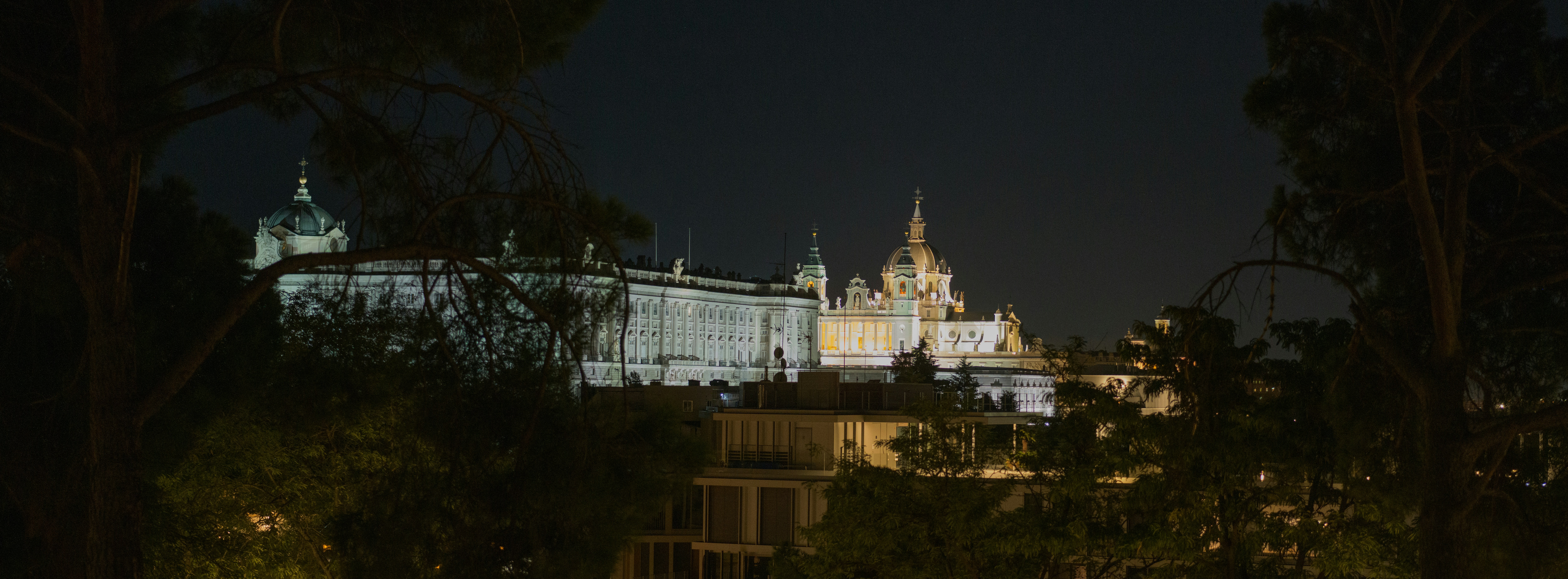 Nighttime Silk: Illuminated Palace Silhouette Across the Park