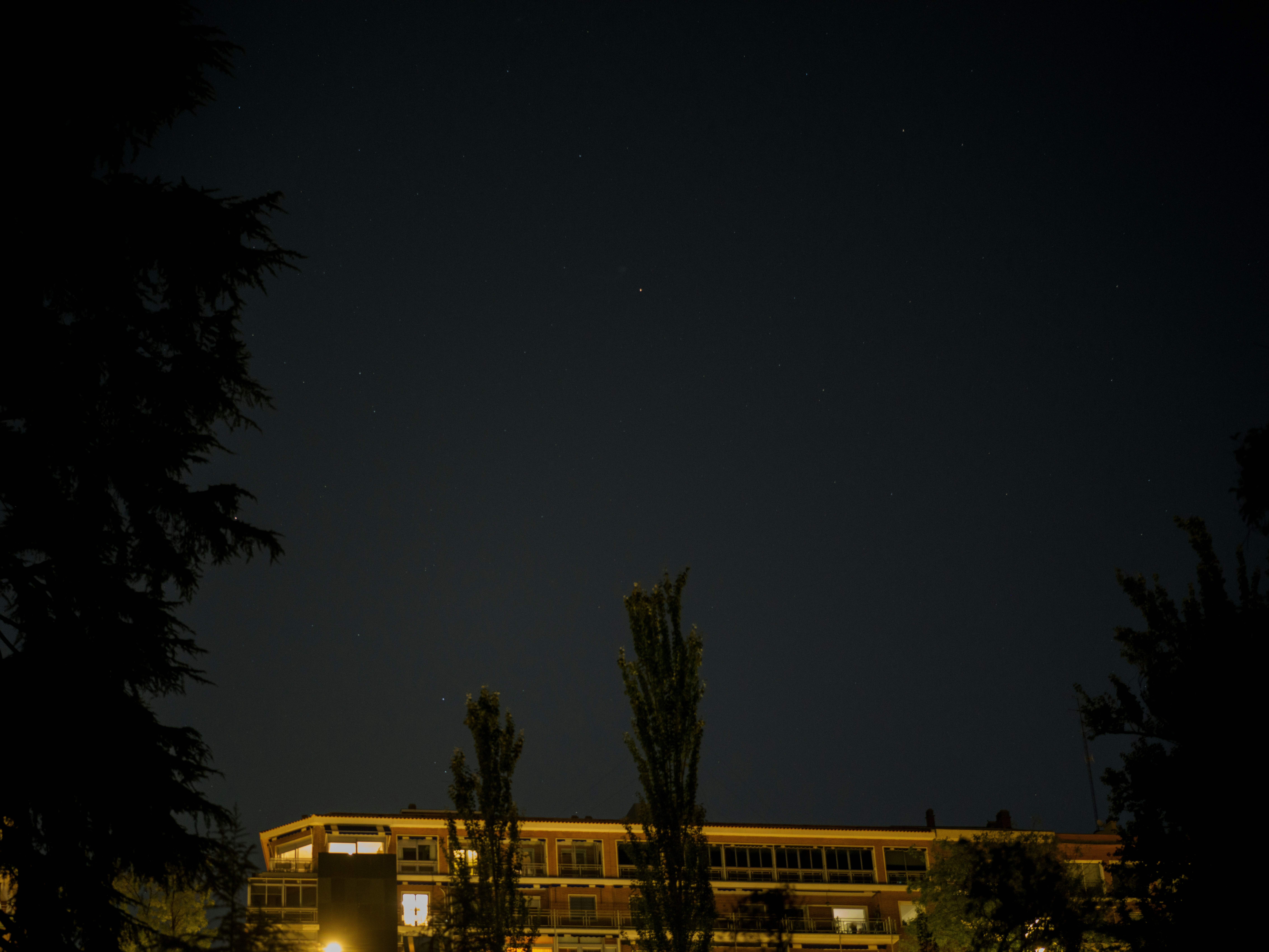 Quiet Night Over a Quiet Campus: A Starry Wakefulness Above the Building