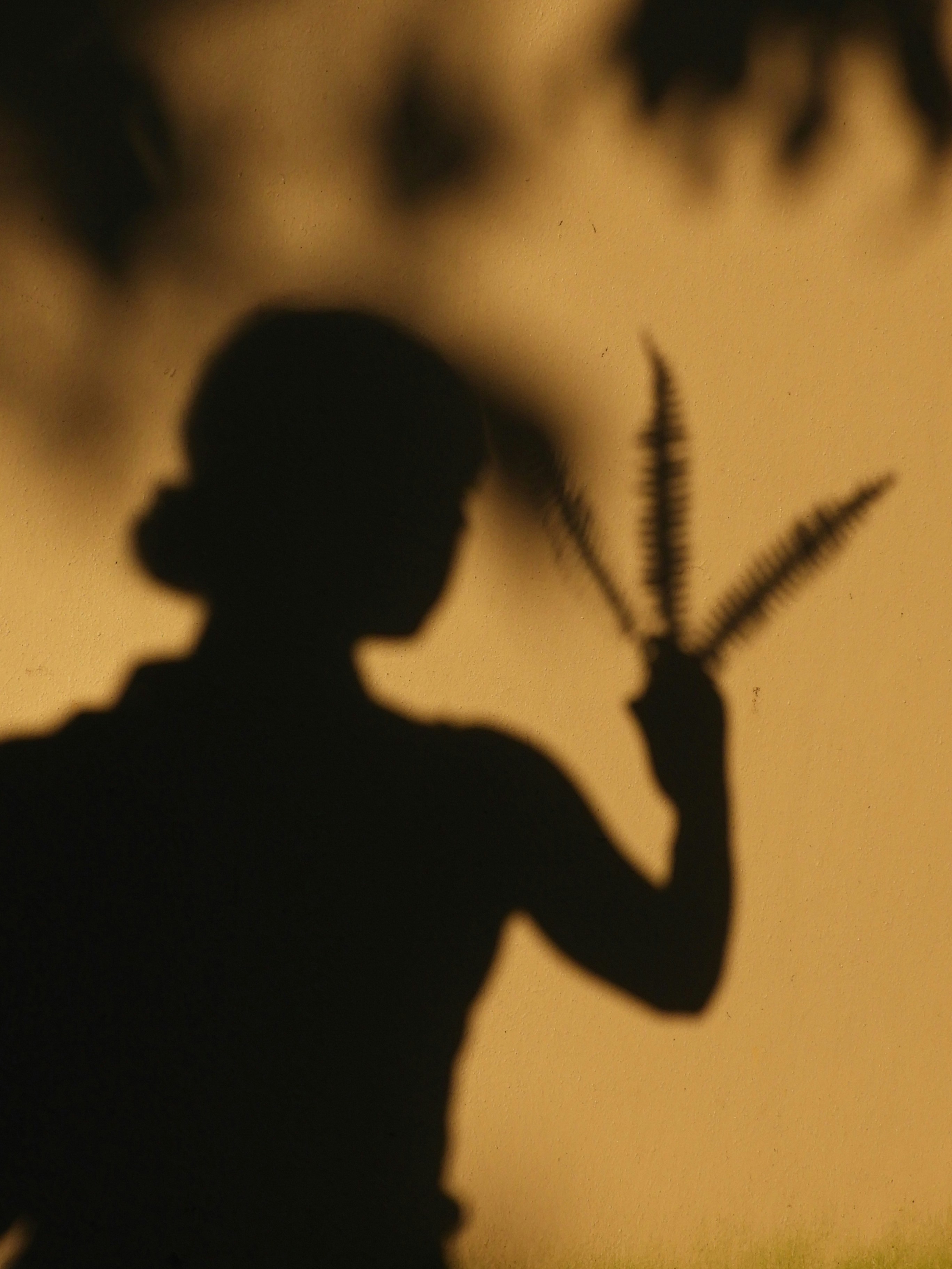 Silhouette with Fern-hand Gesture Against a Warm Backdrop